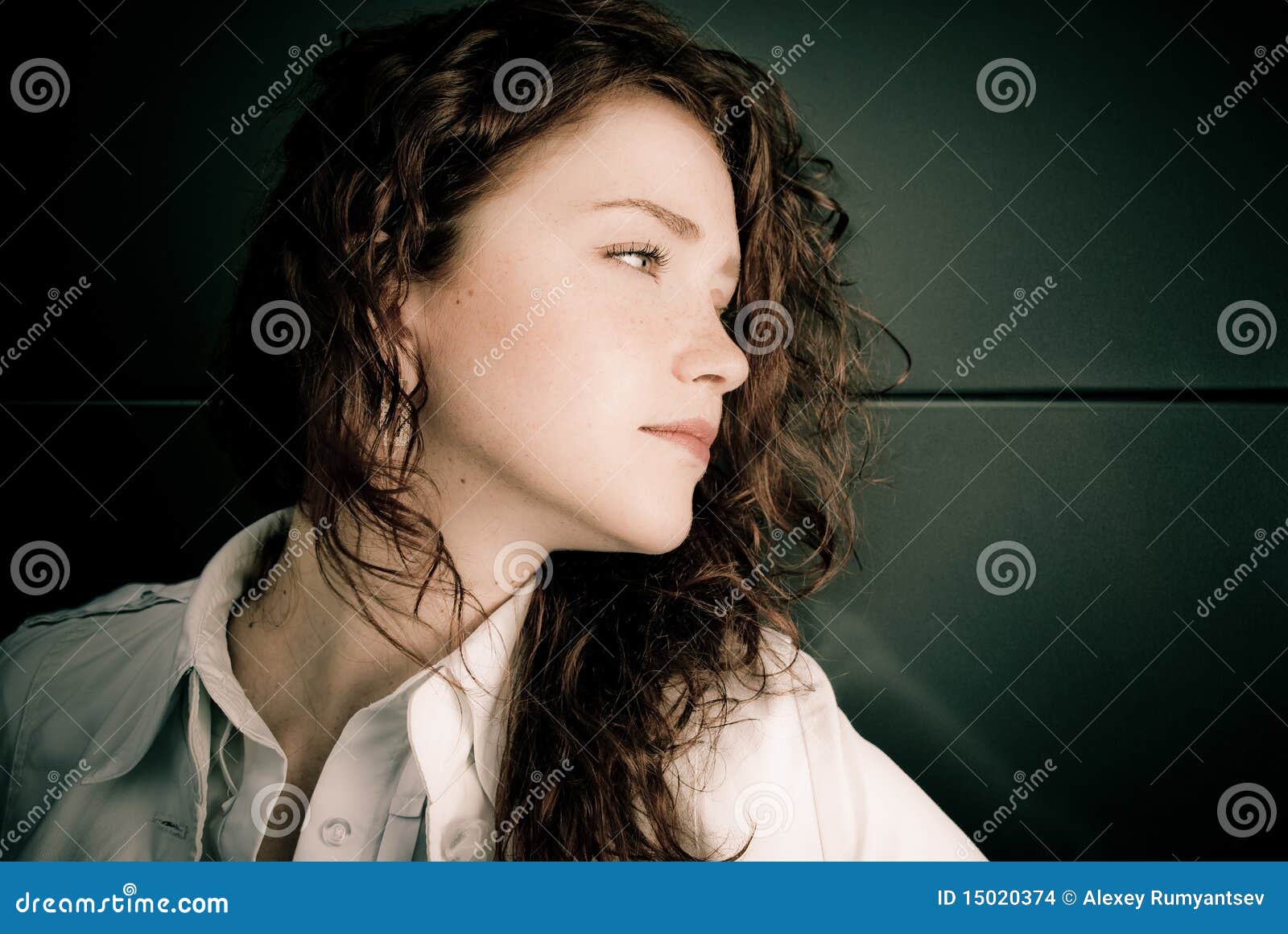 Portrait on a wind stock photo. Image of model, attractive - 15020374