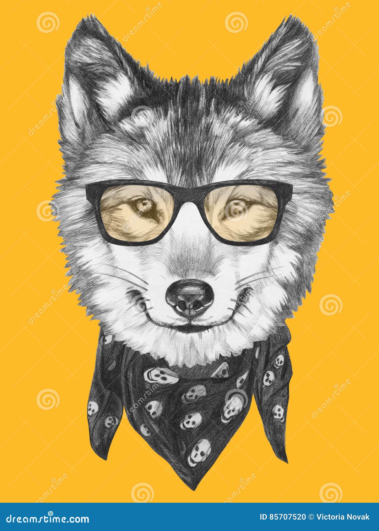 Portrait Of Wolf With Glasses And Scarf Stock Illustration Illustration Of Mammal Isolated