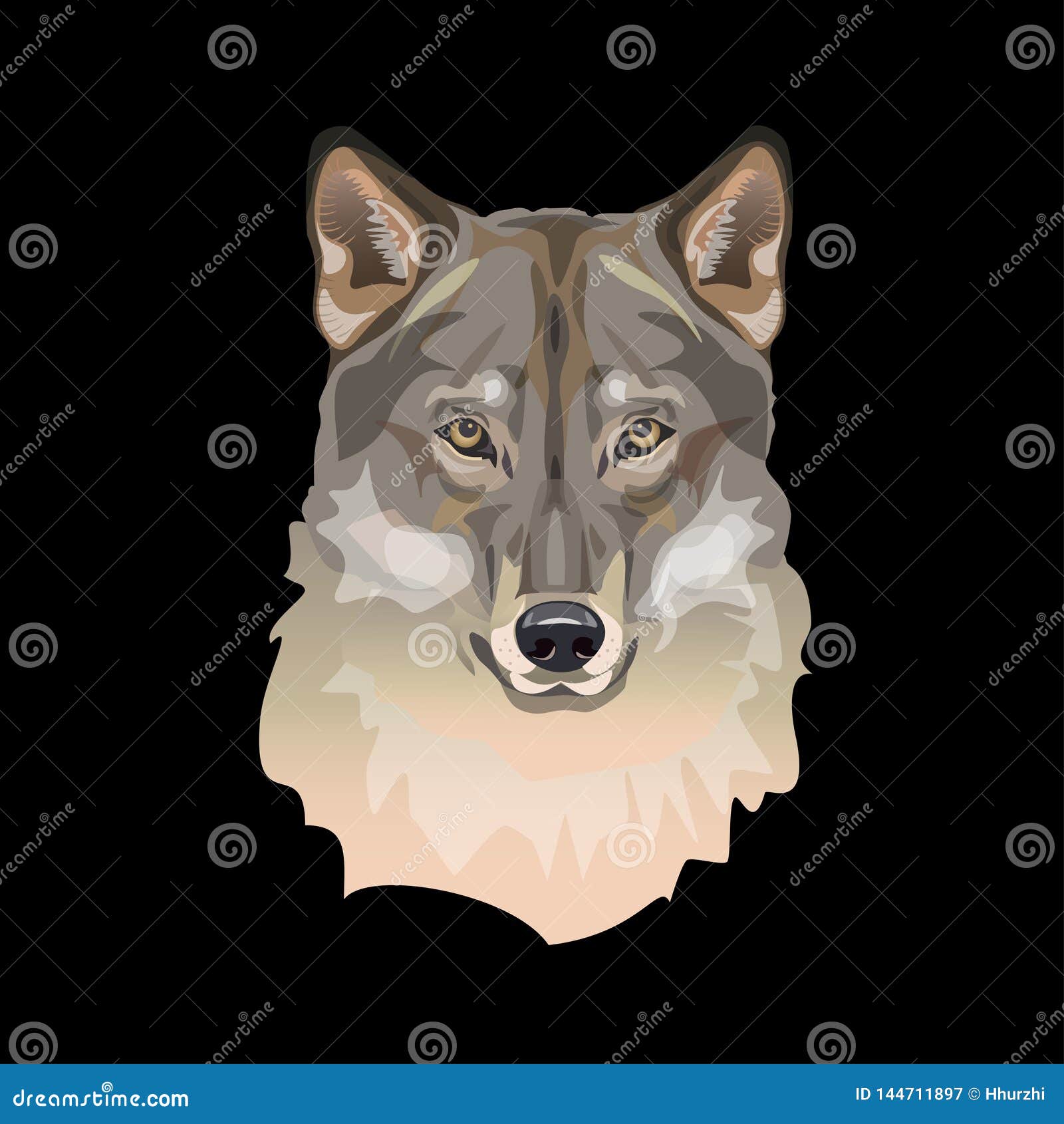 Portrait of wolf head stock vector. Illustration of front - 144711897