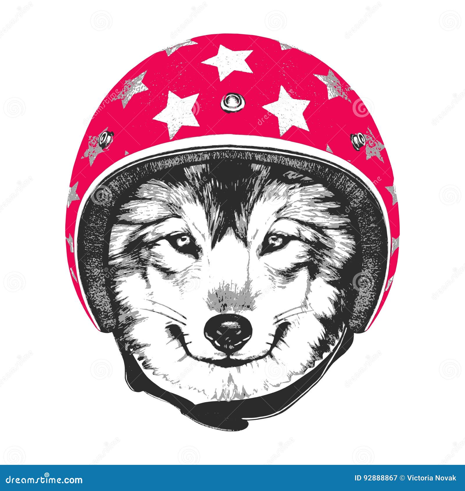 Portrait of Wolf with Helmet. Stock Vector - Illustration of hand ...