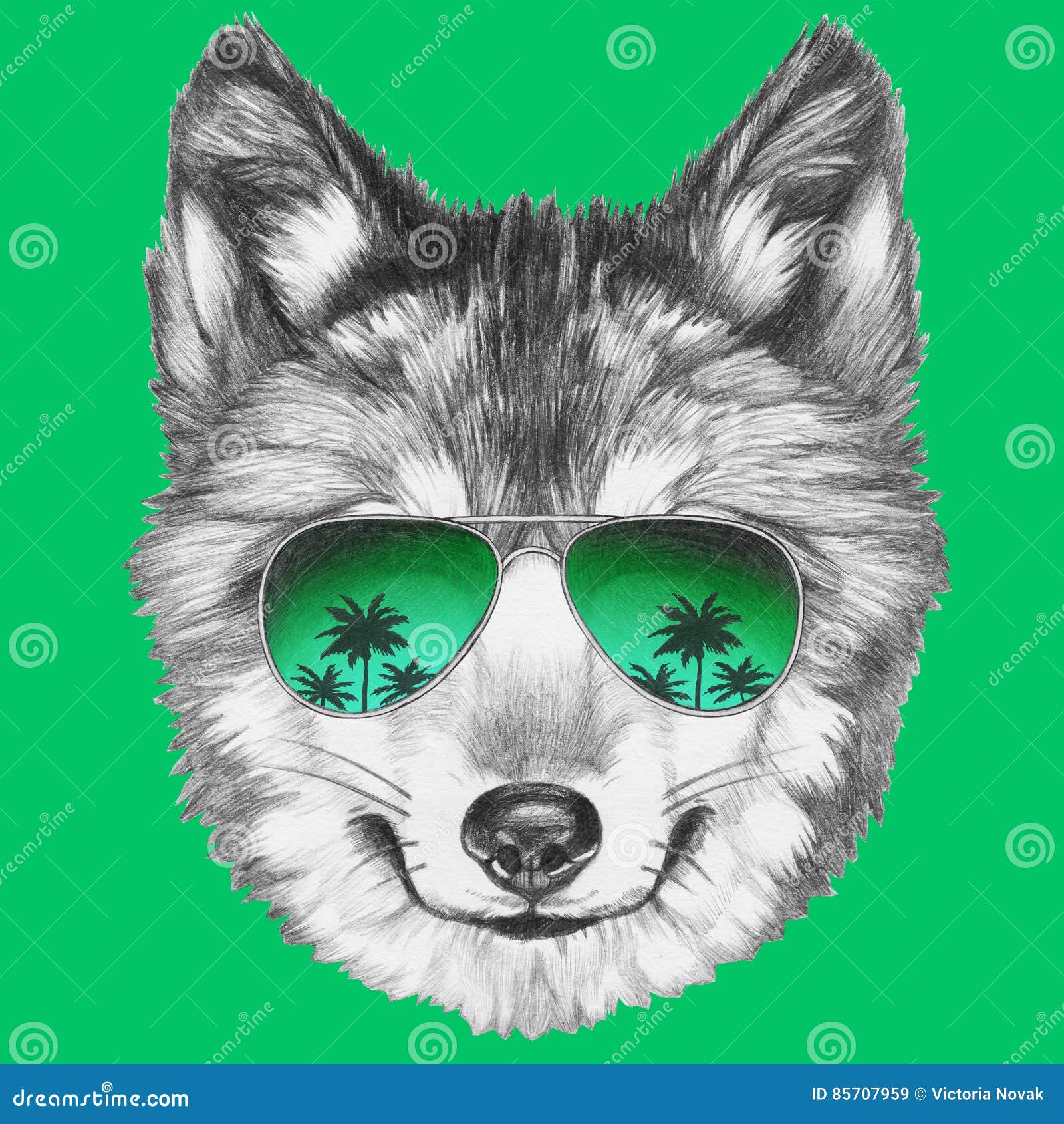 Portrait Of A Wolf, Hand Painted, Typical Specimen Of The Abruzzo ...