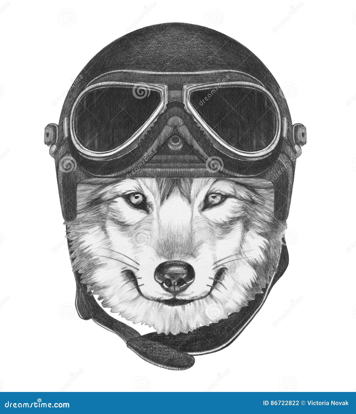 Portrait of Wolf with Vintage Helmet. Stock Illustration - Illustration ...