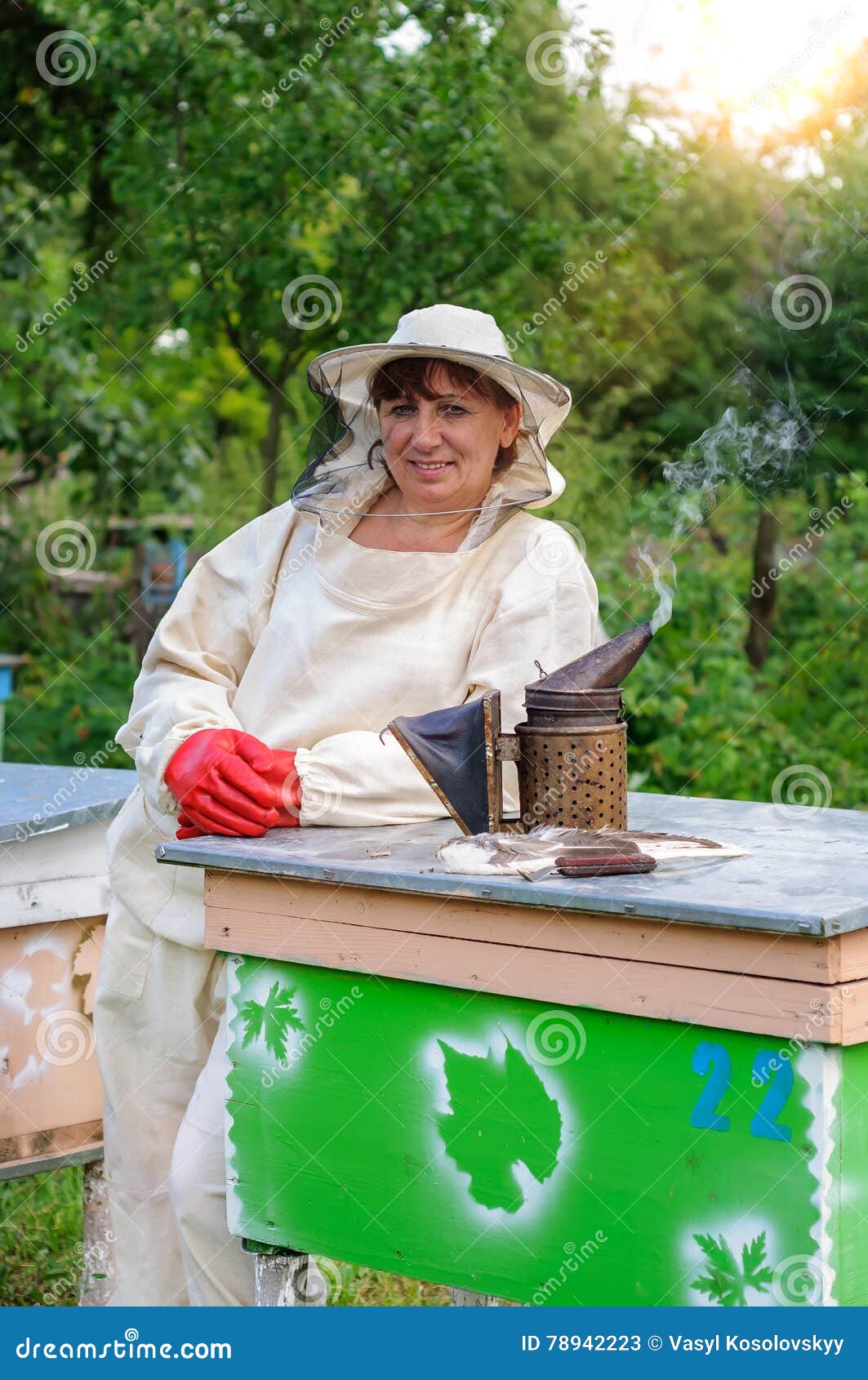Portrait of a Woman Beekeeper Stock Image - Image of bees, gloves: 78942223