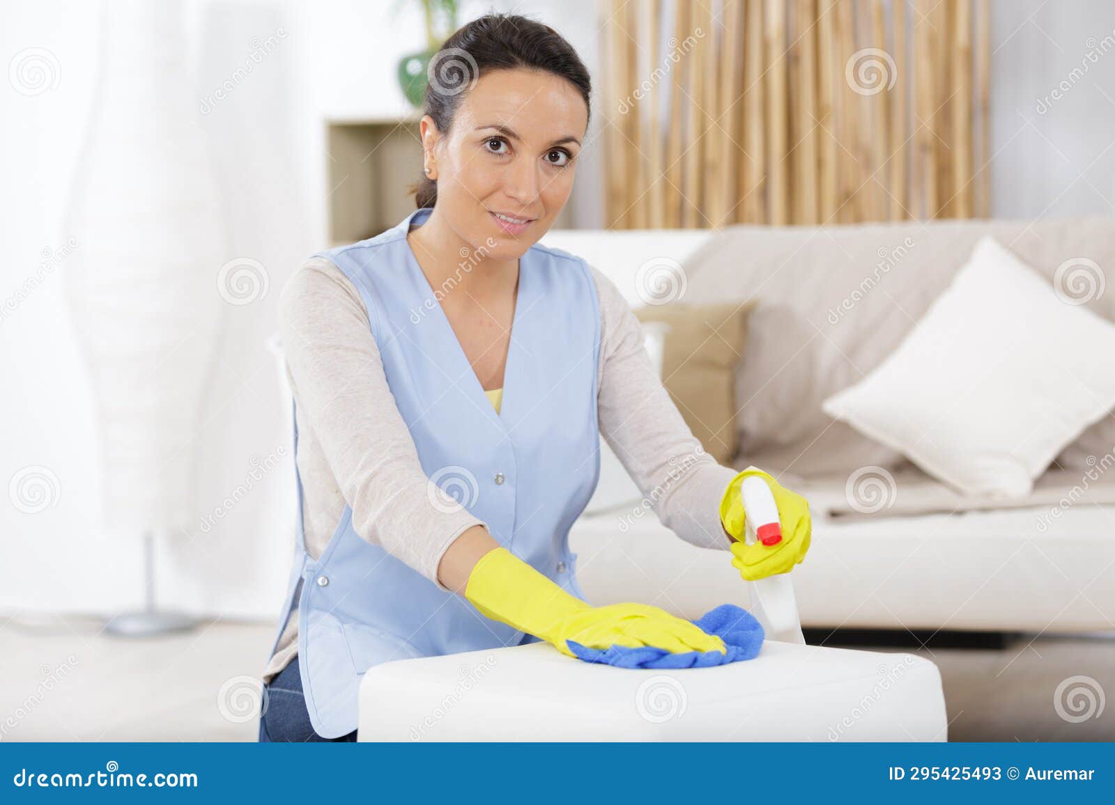 Portrait Woman with Cleaner Stock Image - Image of cleanup, home: 295425493
