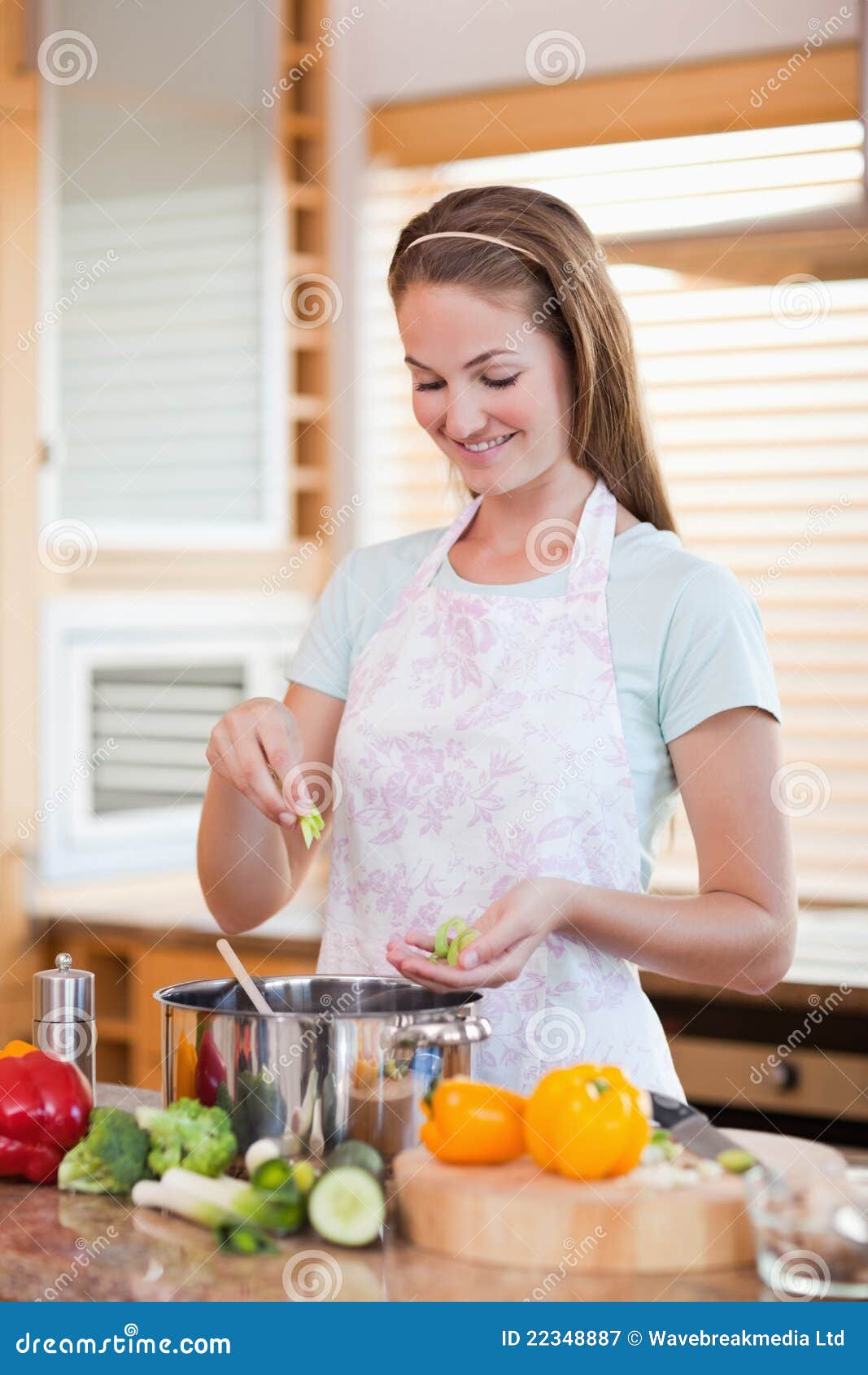 Portrait of a Woman Cooking Stock Image - Image of range, dinner: 22348887