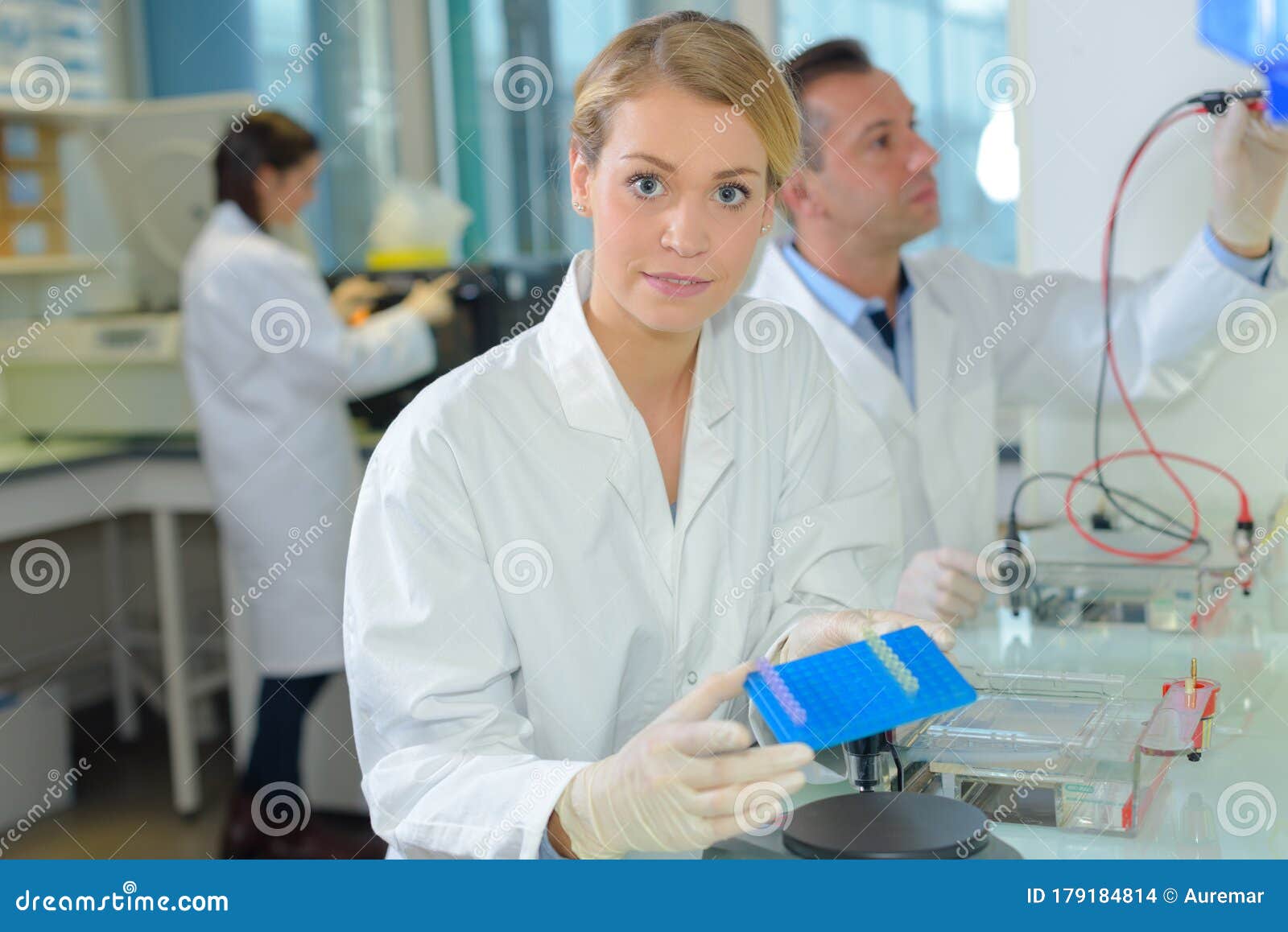 Portrait Woman in Laboratory Stock Photo - Image of health, collect ...