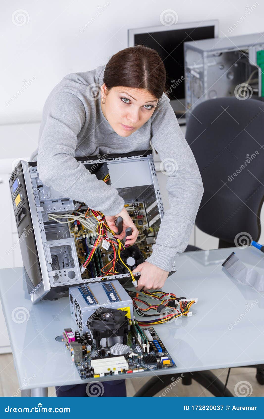 Portrait Woman Repairing Computer Stock Image - Image of eyeliner ...