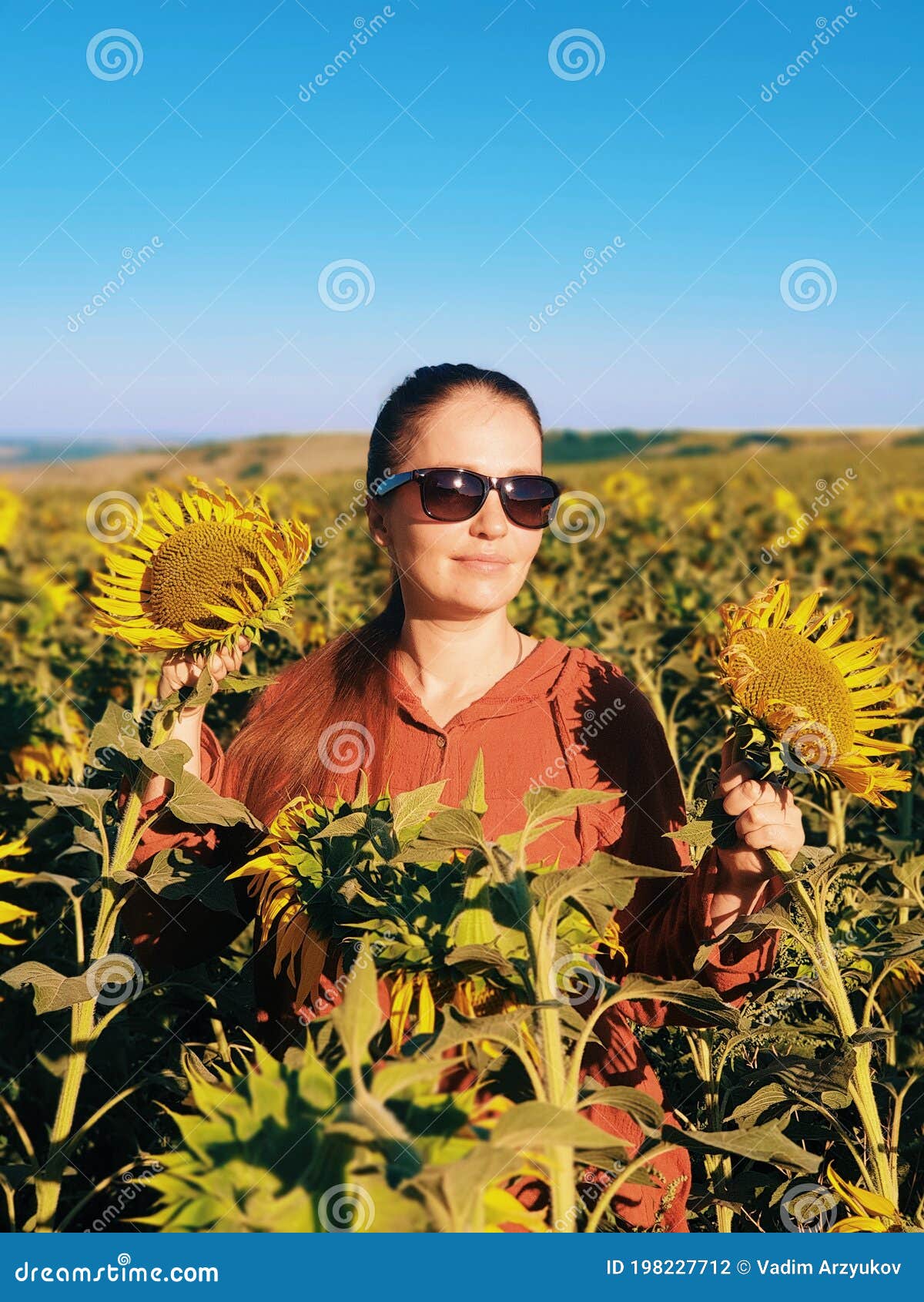 Portrait Of A Woman In Sunglasses In A Field With Sunflowers Stock