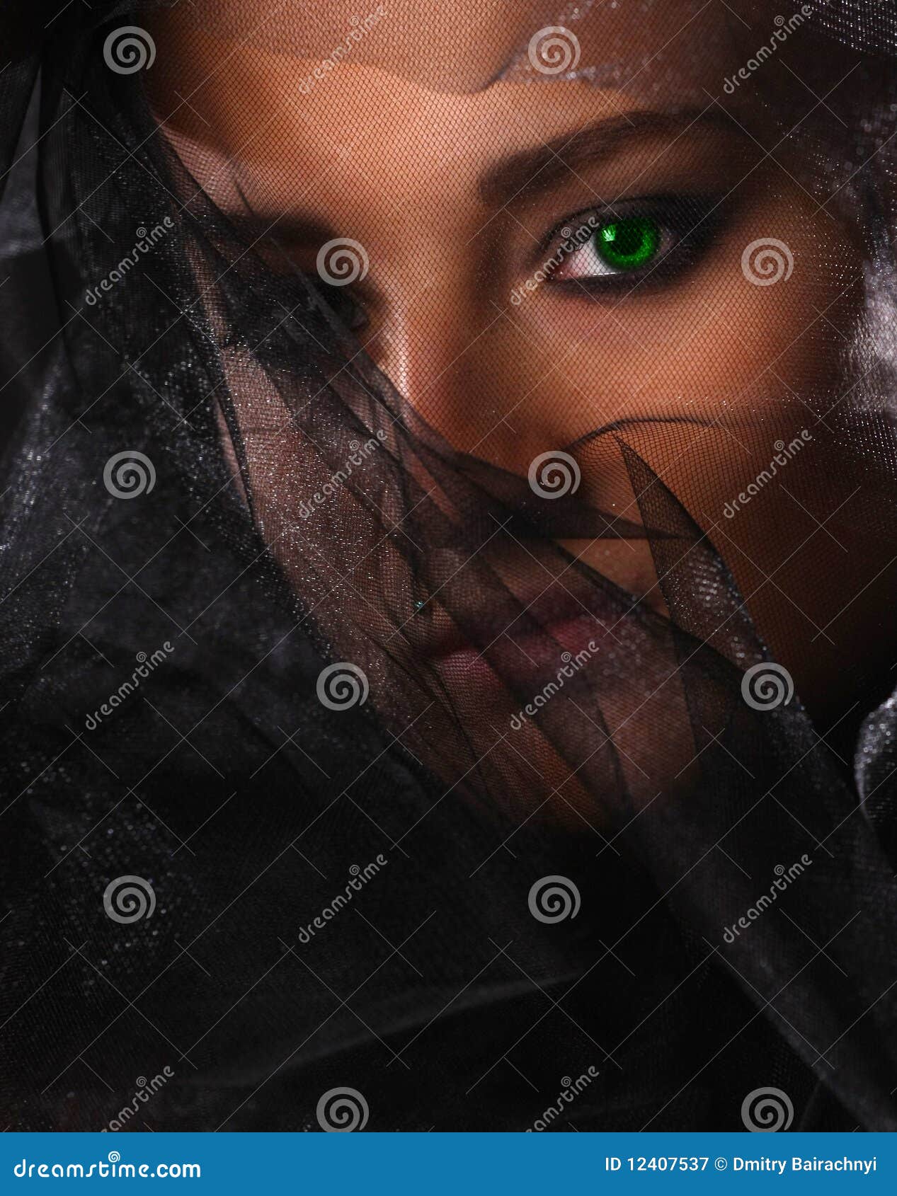 Portrait of woman in veil stock image. Image of glamour - 12407537