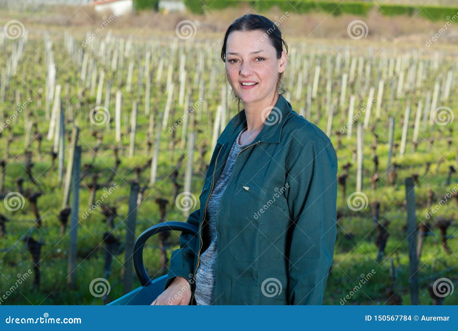 Portrait woman in vineyard stock photo. Image of smiling - 150567784