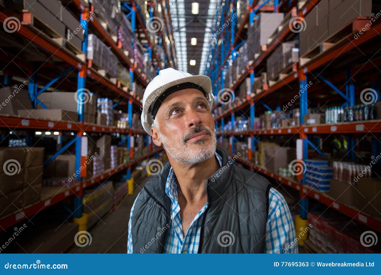 Portrait of Worker is Looking Up Stock Image - Image of delivery ...