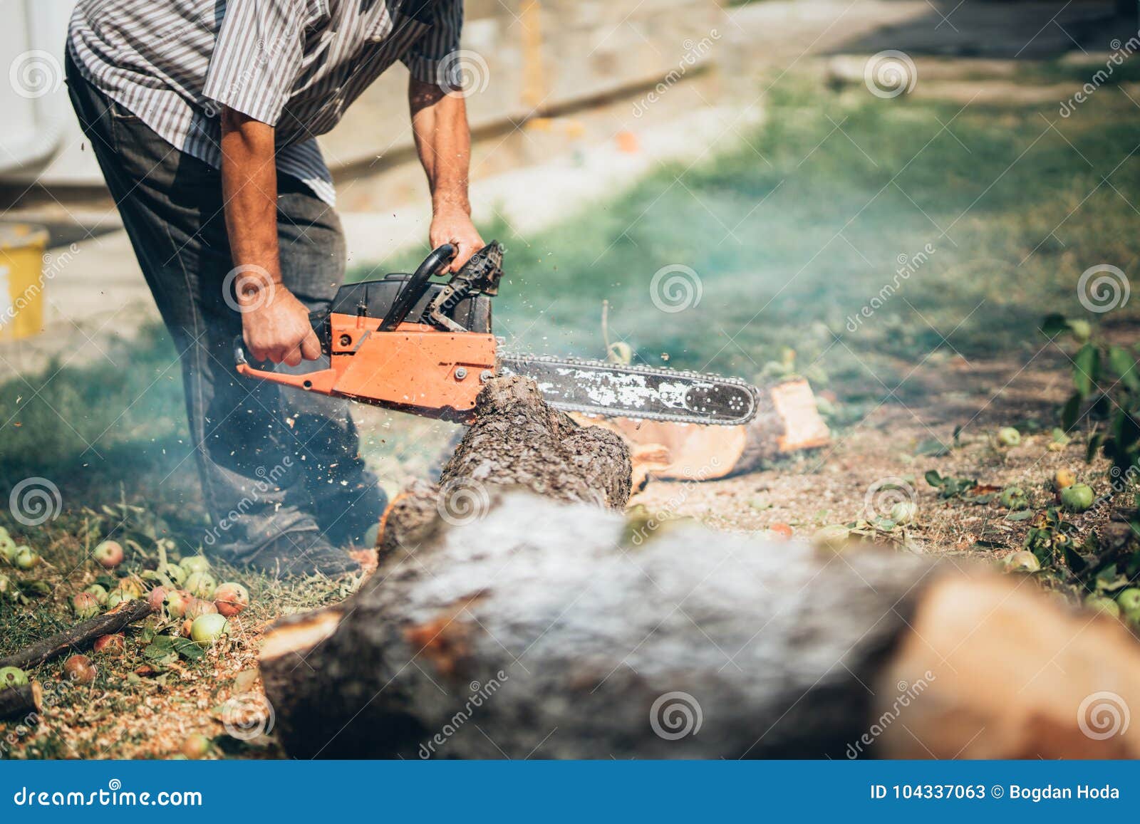 Cutting Trees Royalty-Free Stock Image | CartoonDealer.com #20003146