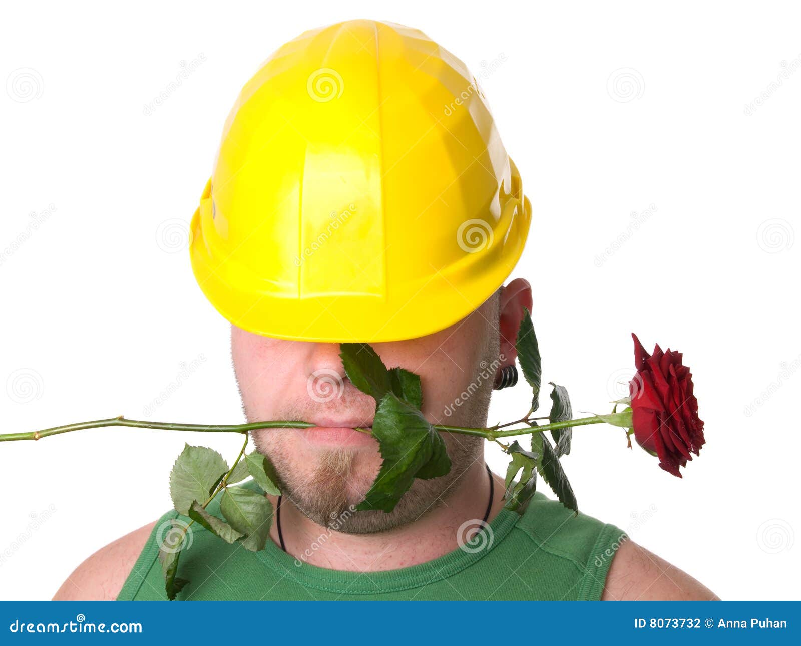Portrait of a Worker with Rose. Stock Photo - Image of boyfriend, amor ...
