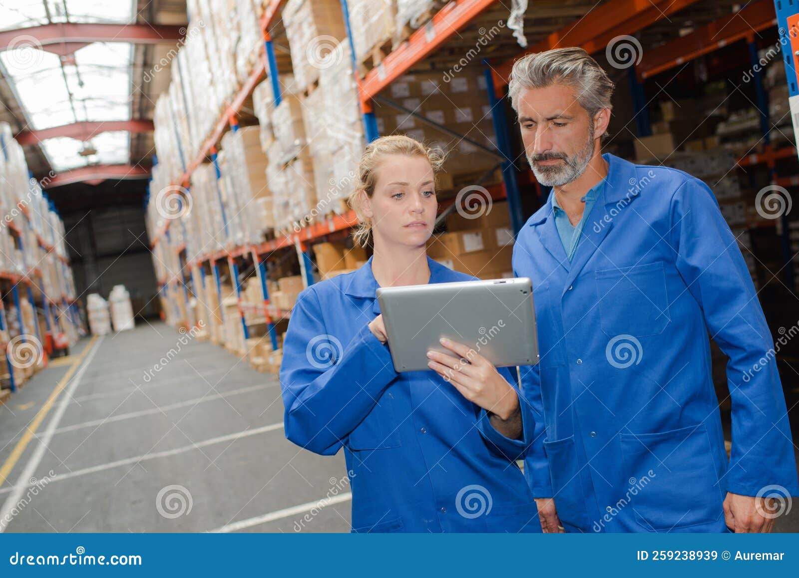 Portrait Workers in Warehouse Stock Image - Image of worker, storage ...