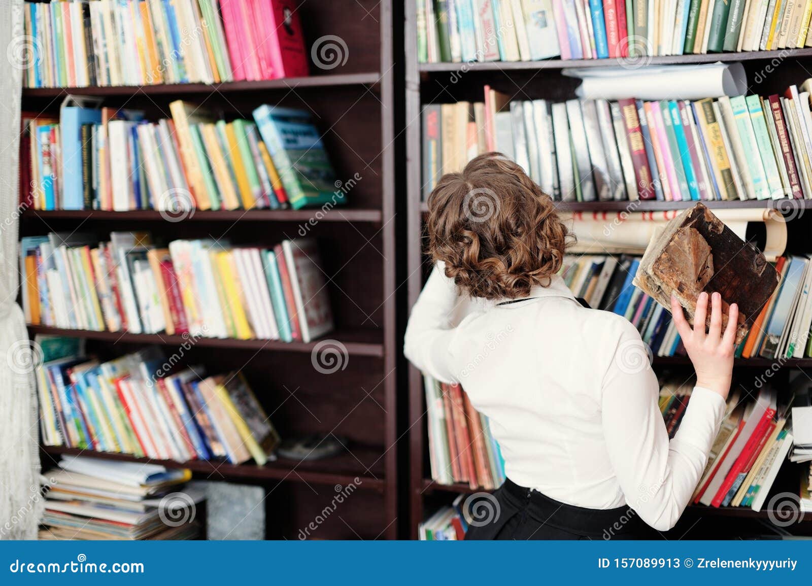 Portrait of a Writer in a Library Stock Image - Image of caucasian ...
