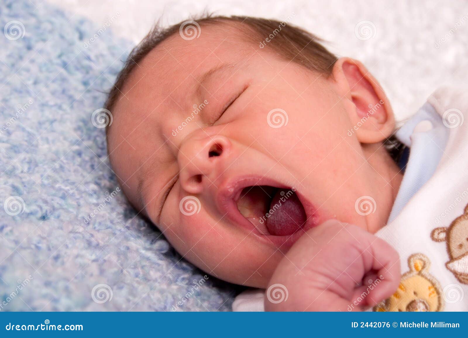 Portrait of a Yawn stock photo. Image of family, infant - 2442076