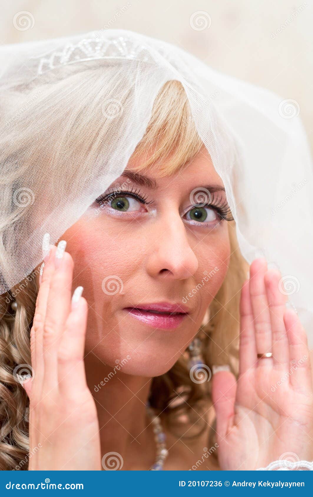 Portrait of a Young Beautiful Bride Stock Photo - Image of contemporary ...