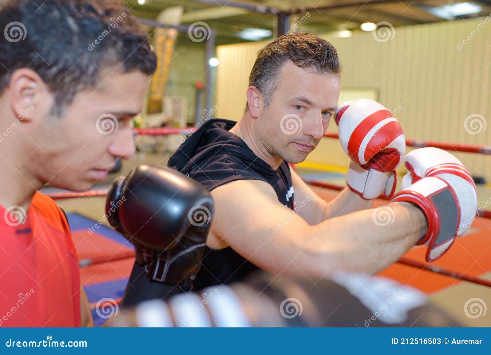 896 Boxing Student Photos - Free & Royalty-Free Stock Photos from ...