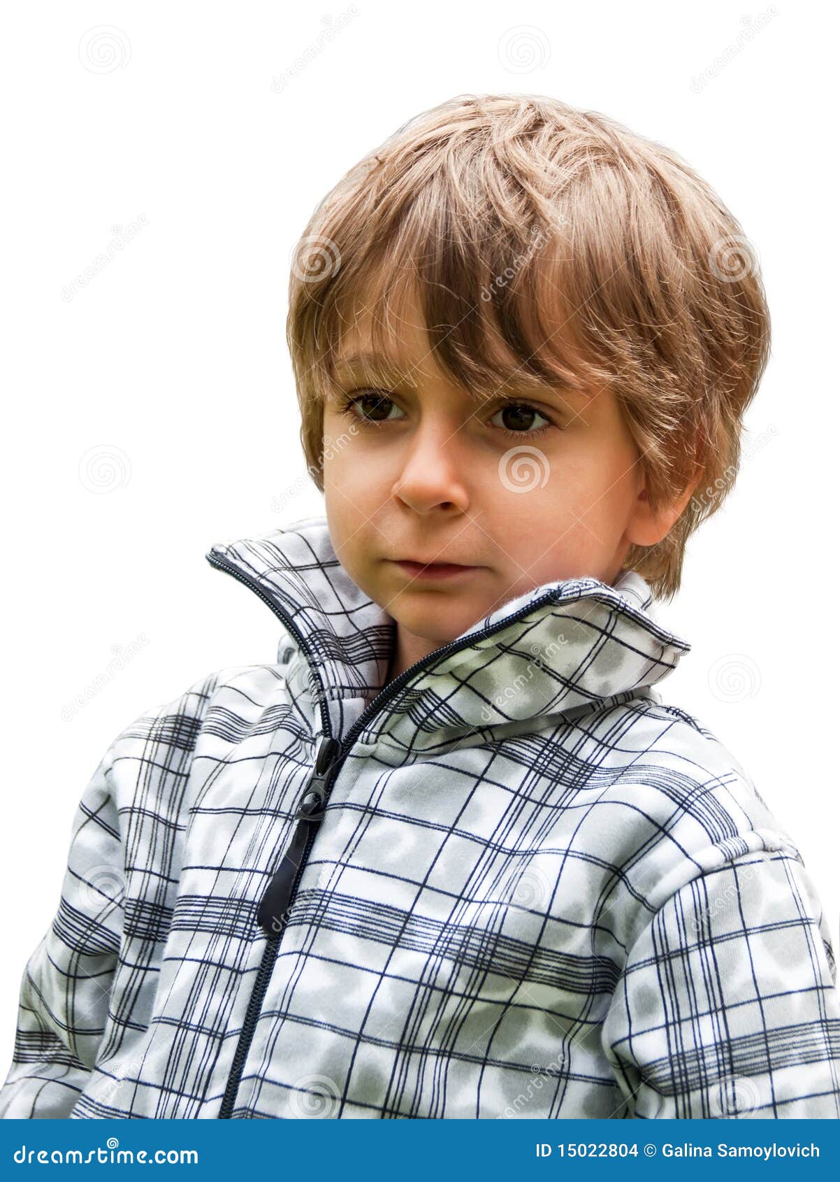 Portrait of a young boy stock photo. Image of little - 15022804