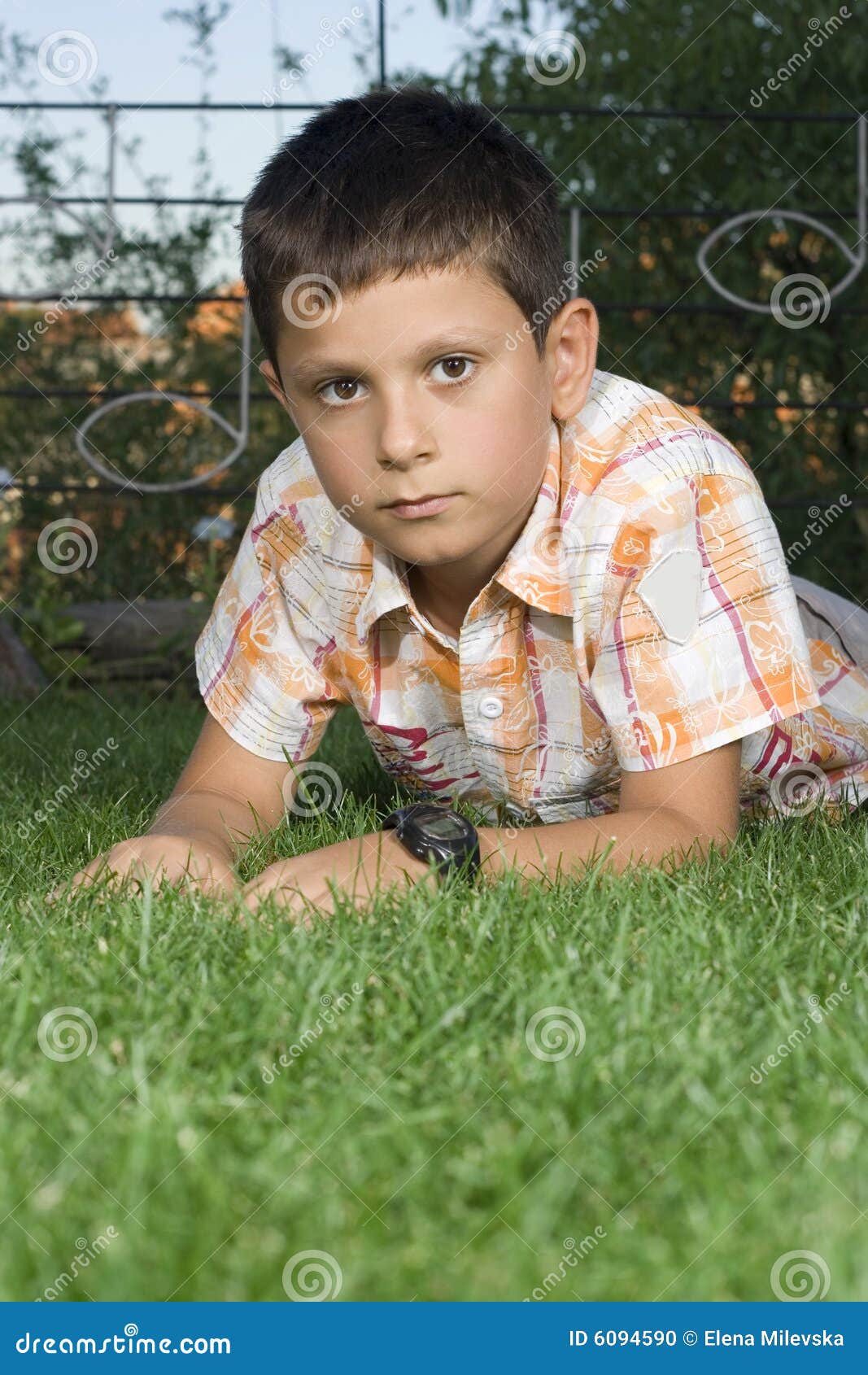 Portrait of Young Boy stock photo. Image of childhood - 6094590