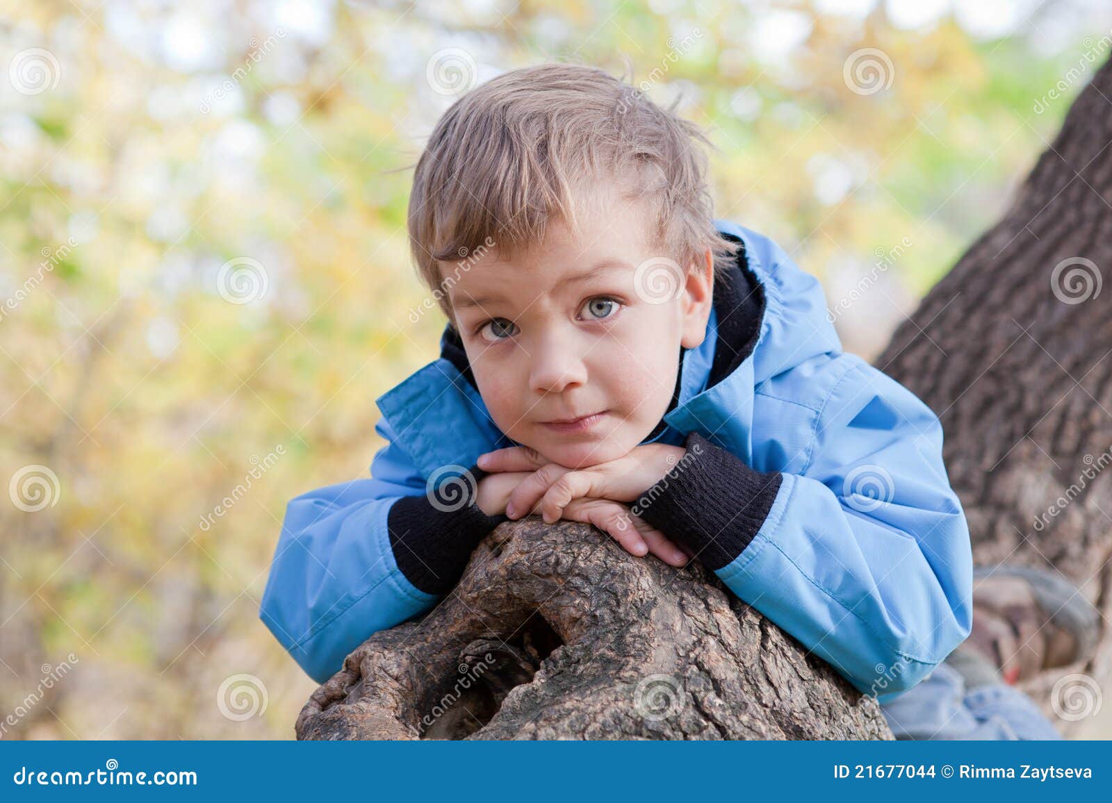 Portrait of Young Boy, Fall, Park Stock Photo - Image of jacket ...