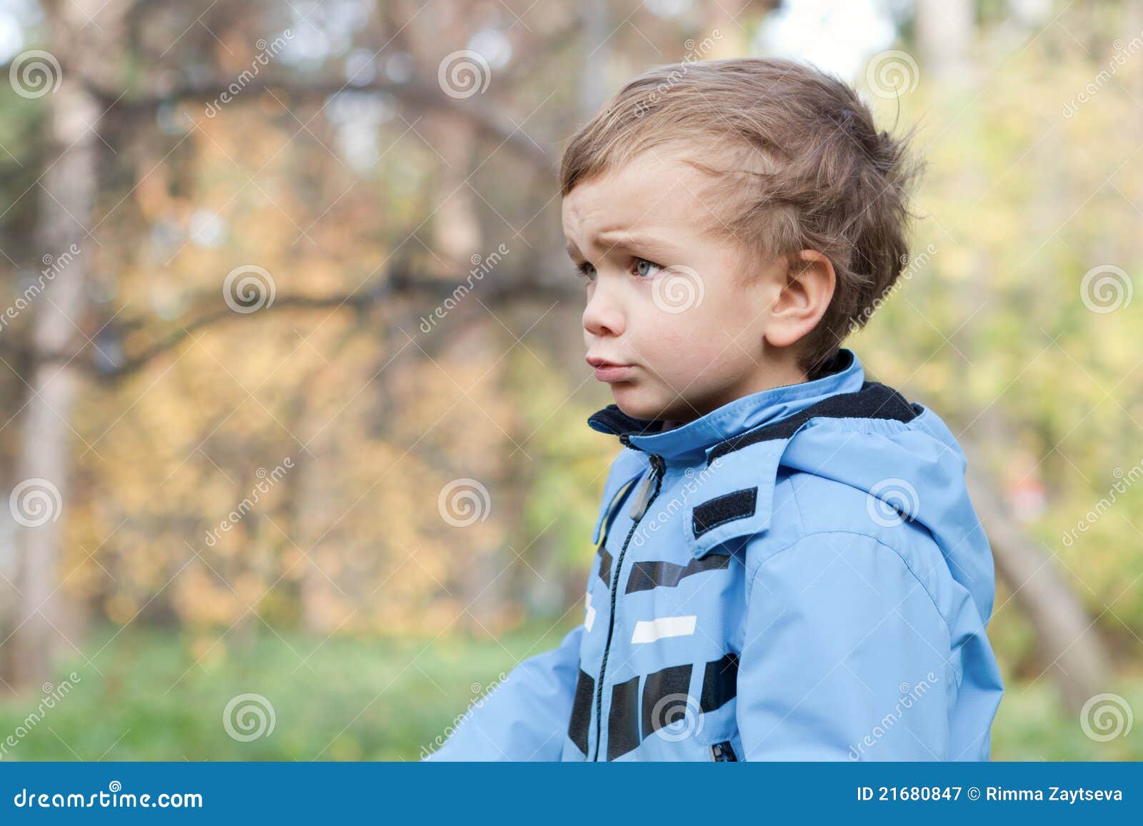 Portrait of Young Boy, Fall, Park Stock Image - Image of child, nature ...
