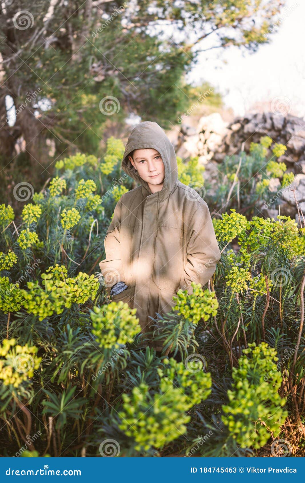 Portrait of Young Boy in Nature Stock Image - Image of calm, young ...