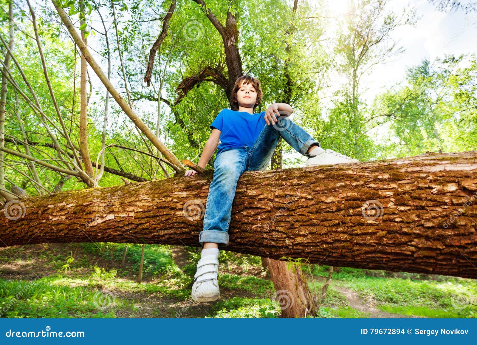 Portrait of Young Boy Sitting on Fallen Tree Trunk Stock Photo - Image ...