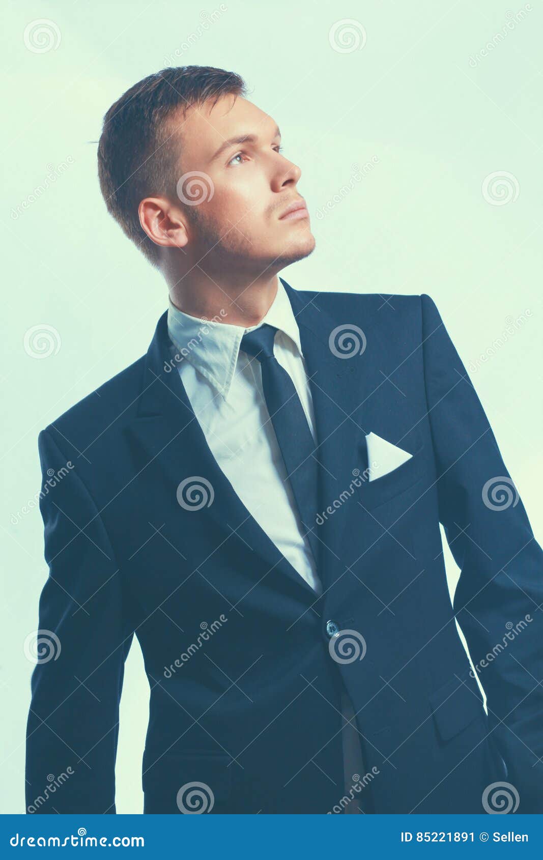 Portrait of a Young Executive in Business Suit Stock Image - Image of ...