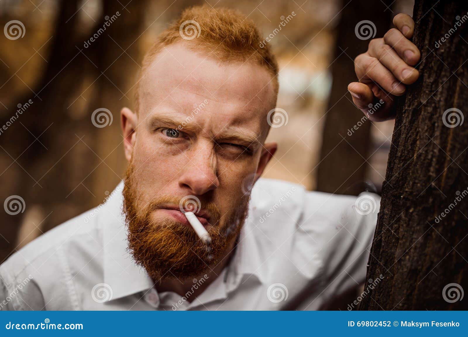 Portrait of Young Grumpy Bearded Red Hair Man with Sigaret Stock Photo ...