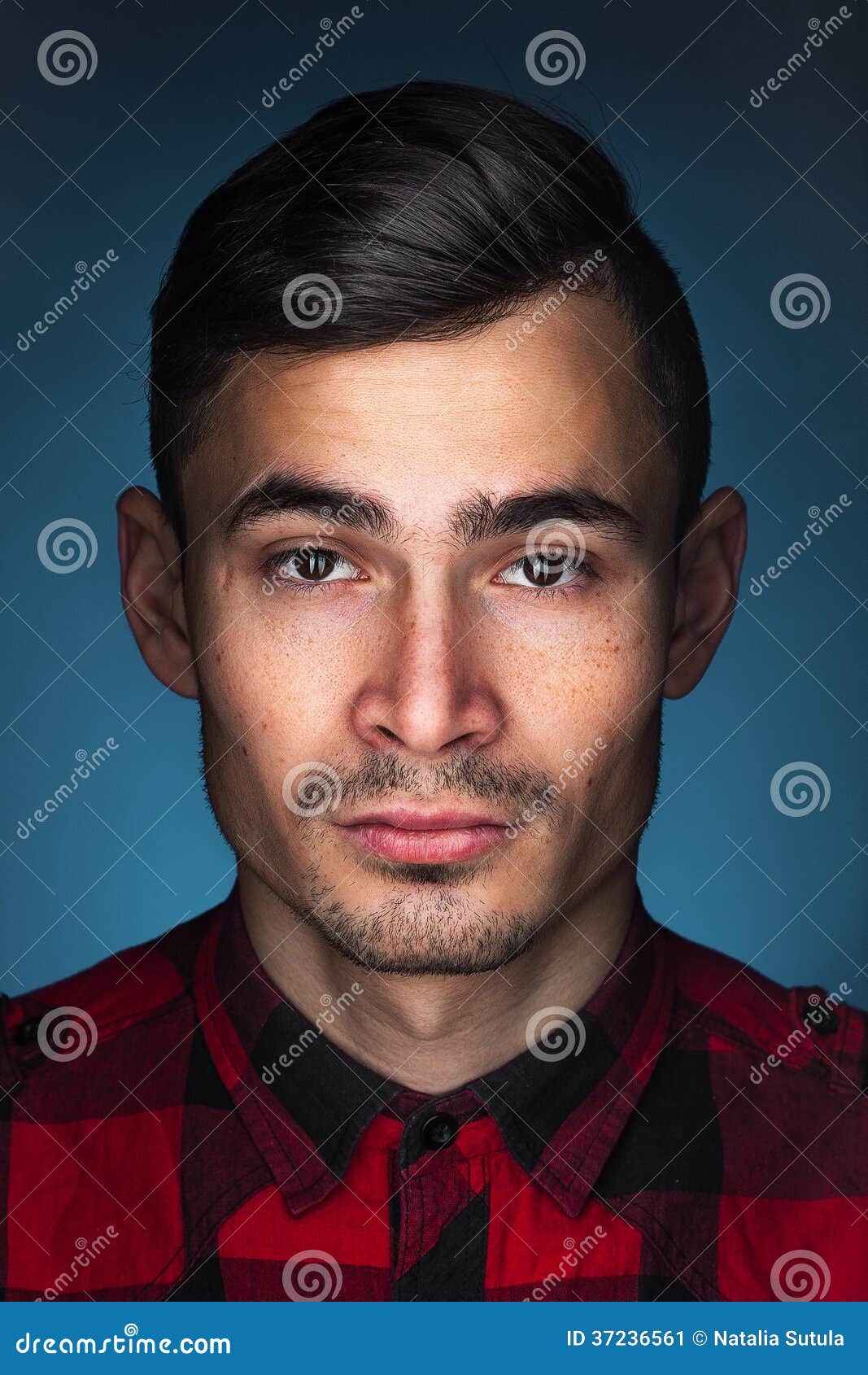 Portrait of a Young Man on Blue Background Stock Image - Image of ...