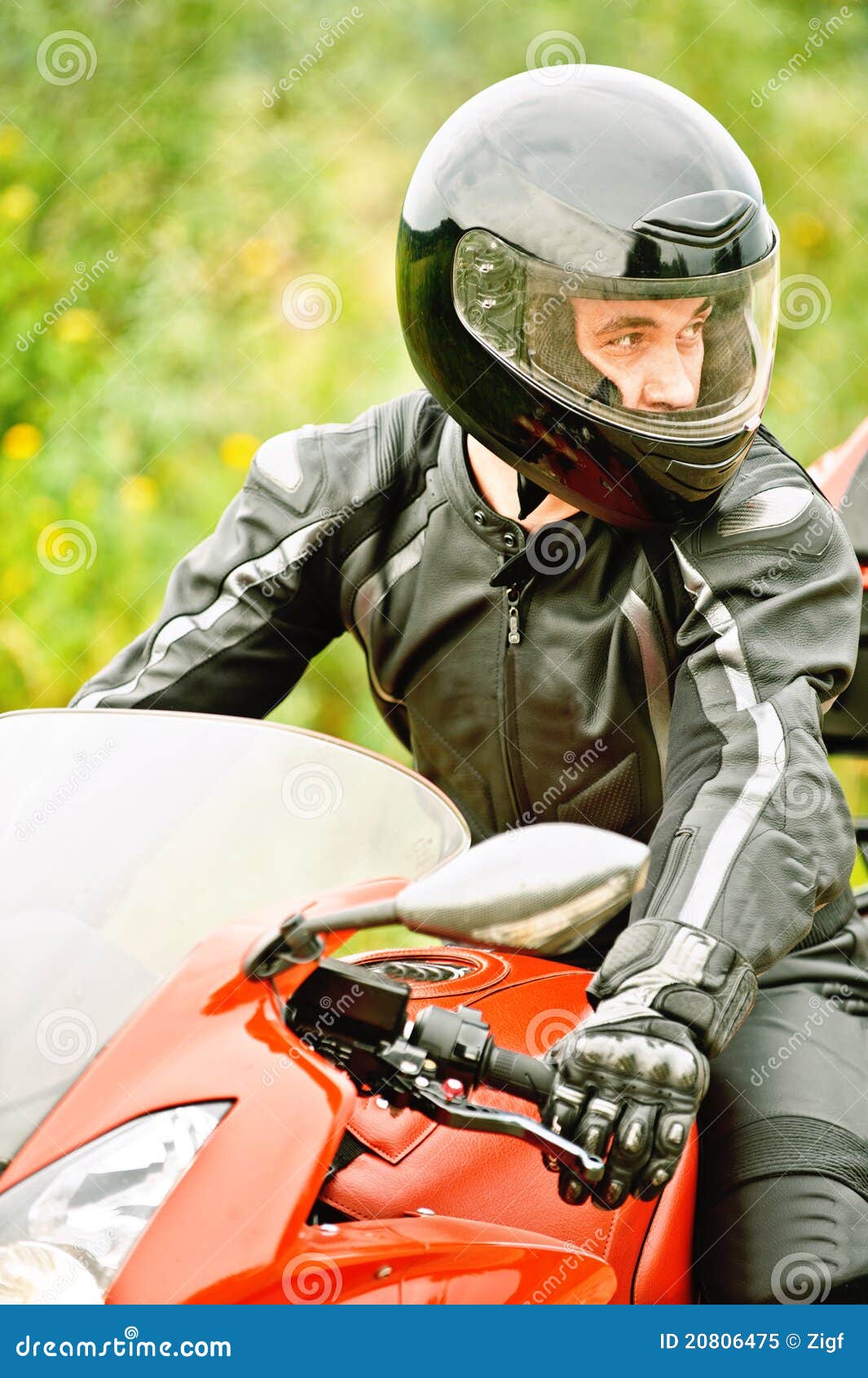 Portrait of Young Man Driving Stock Image - Image of adult, grass: 20806475