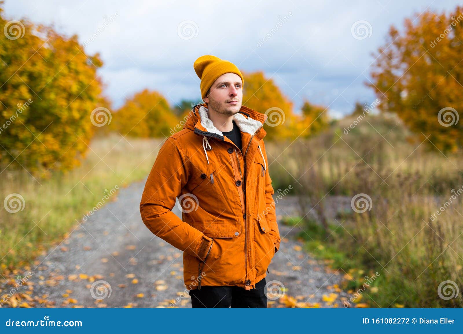 Portrait of Young Man Posing in Autumn Park Stock Photo - Image of ...