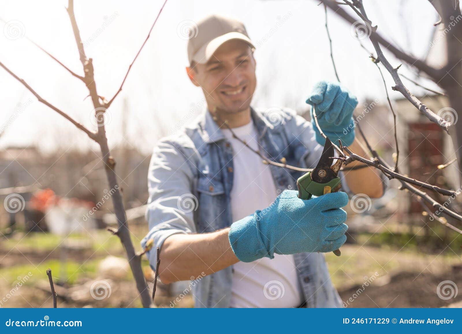 Portrait of Young Man Pruning Branch Stock Image - Image of learning ...