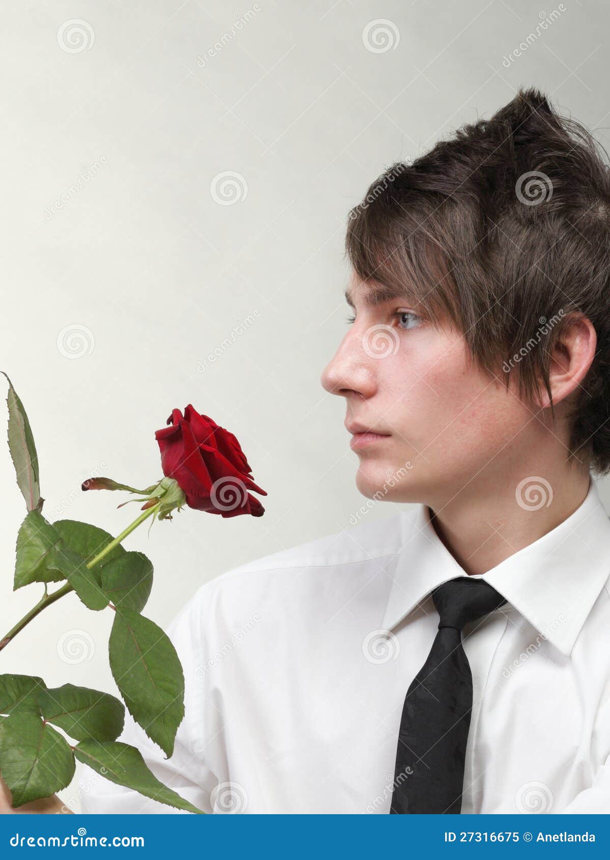 Portrait Young Man and Rose Enamoured Love Stock Image - Image of groom ...