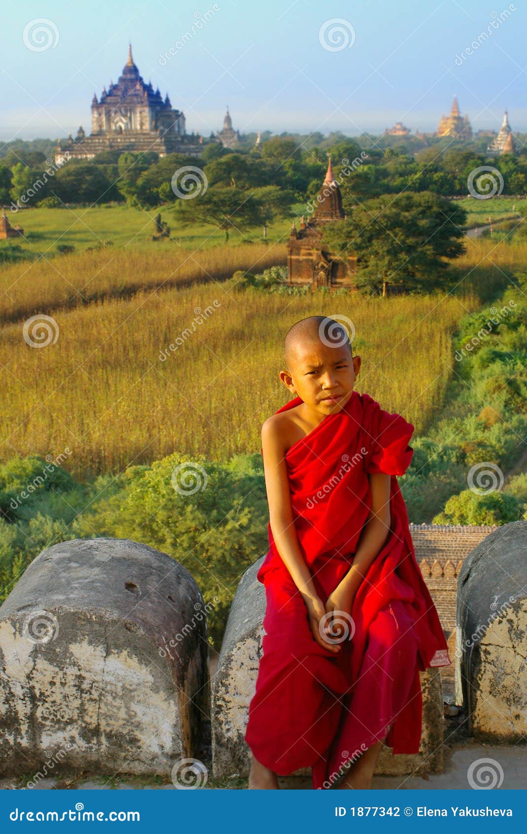 Portrait of young monk stock photo. Image of eastern, monk - 1877342