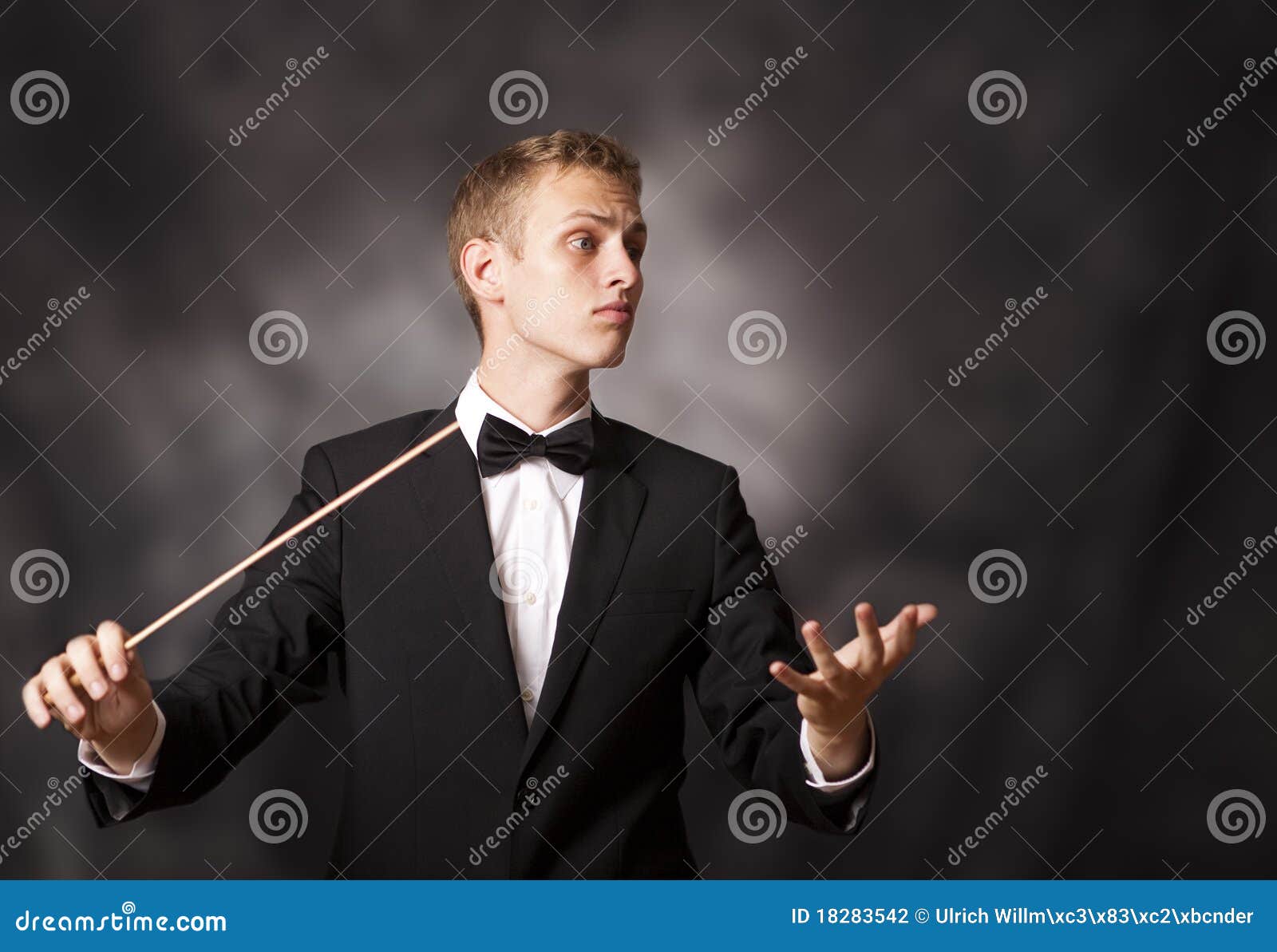 Portrait of a Young Orchestra Conductor Stock Photo - Image of emotion ...