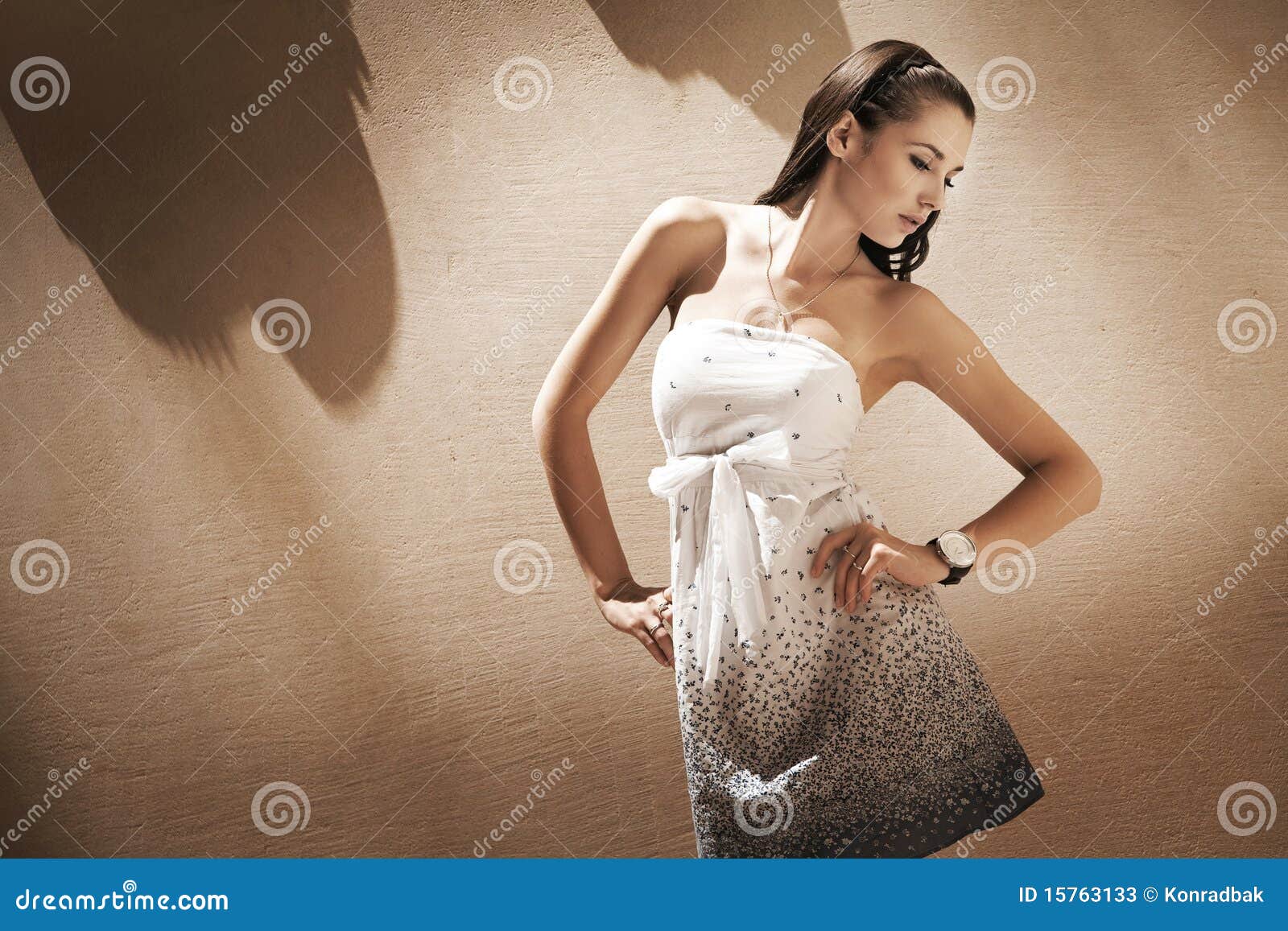 Portrait of a Young Pretty Brunette Posin in a Sty Stock Image - Image ...