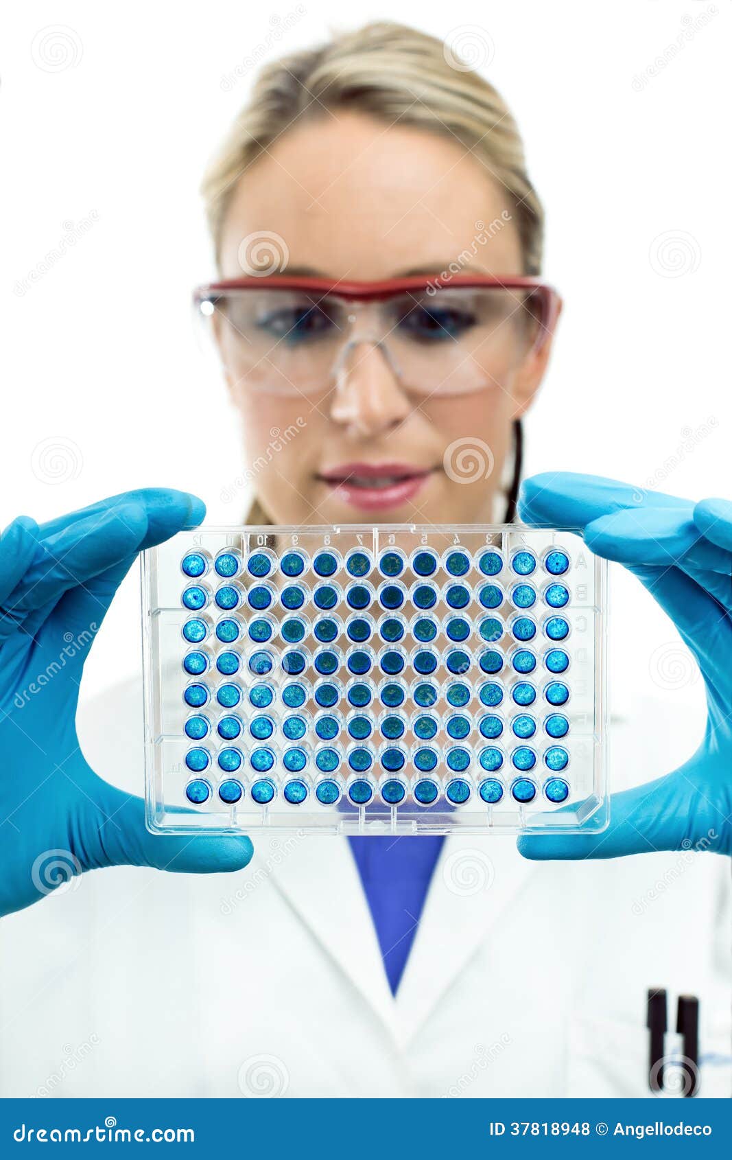 Portrait of Young Scientist Looking a Microplate Stock Photo - Image of ... Portrait of Young Scientist Looking a Microplate Stock Photo - Image of ...