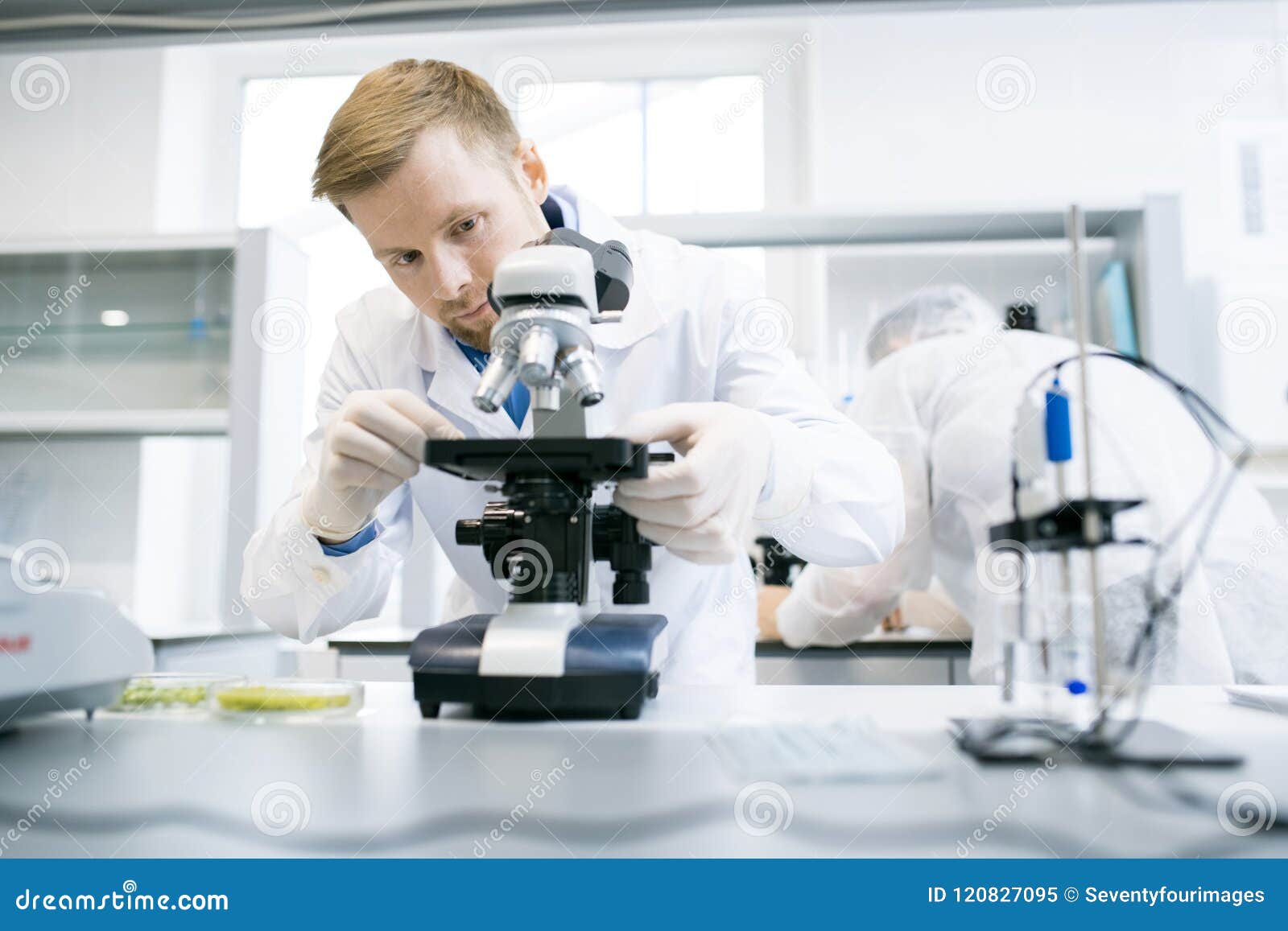 Scientist Using Microscope in Lab Stock Image - Image of experiment ...