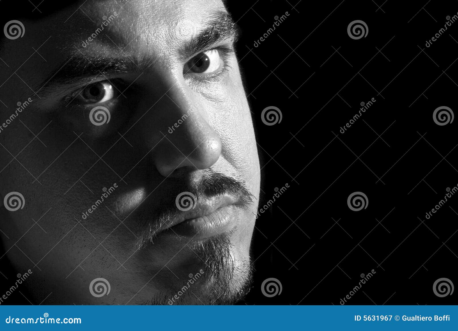 Portrait of Young Serious Man Stock Image - Image of male, customer ...