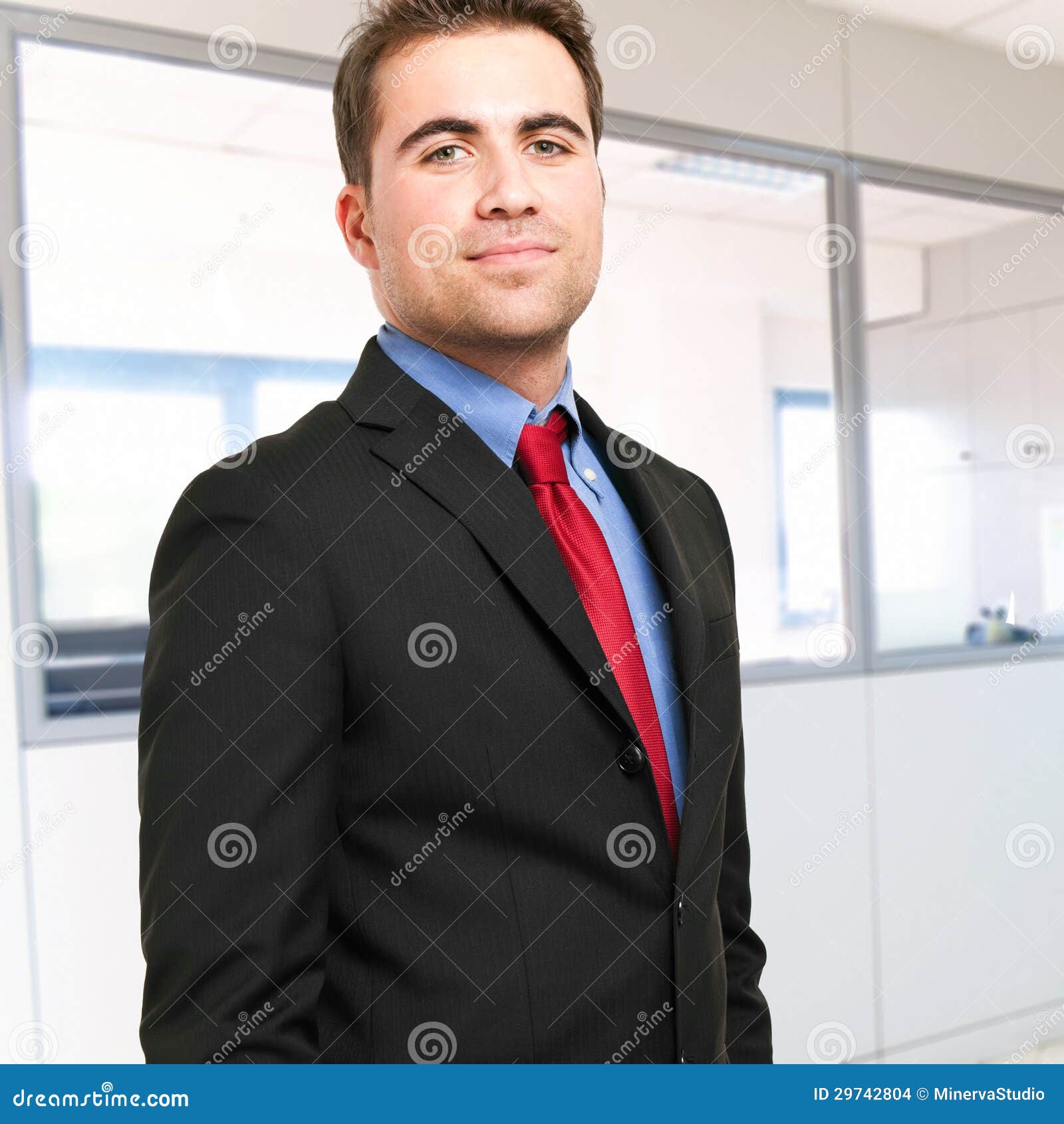 Businessman portrait stock photo. Image of motivation - 29742804