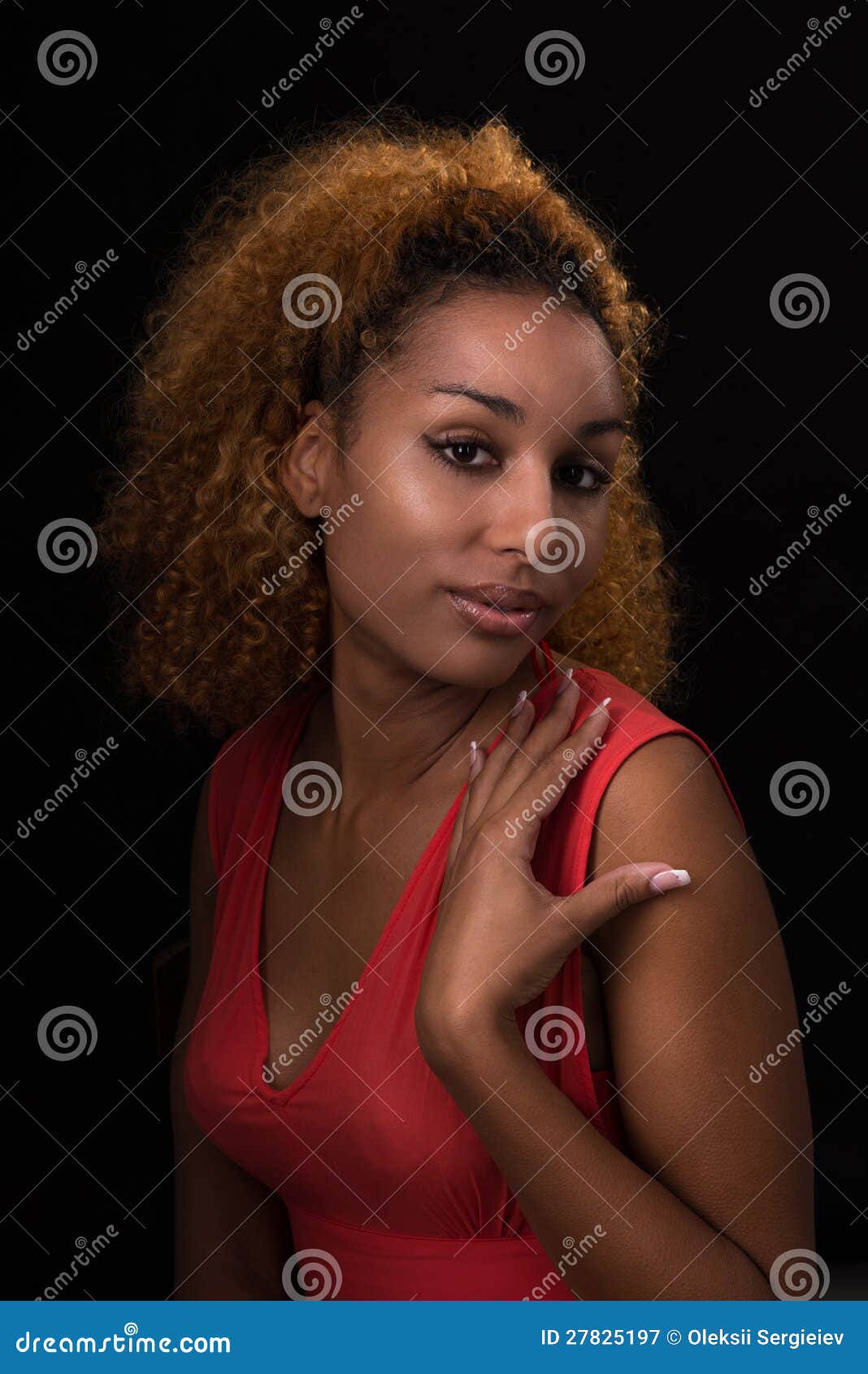 Portrait of a Young Woman in a Low-key Stock Image - Image of elegance ...