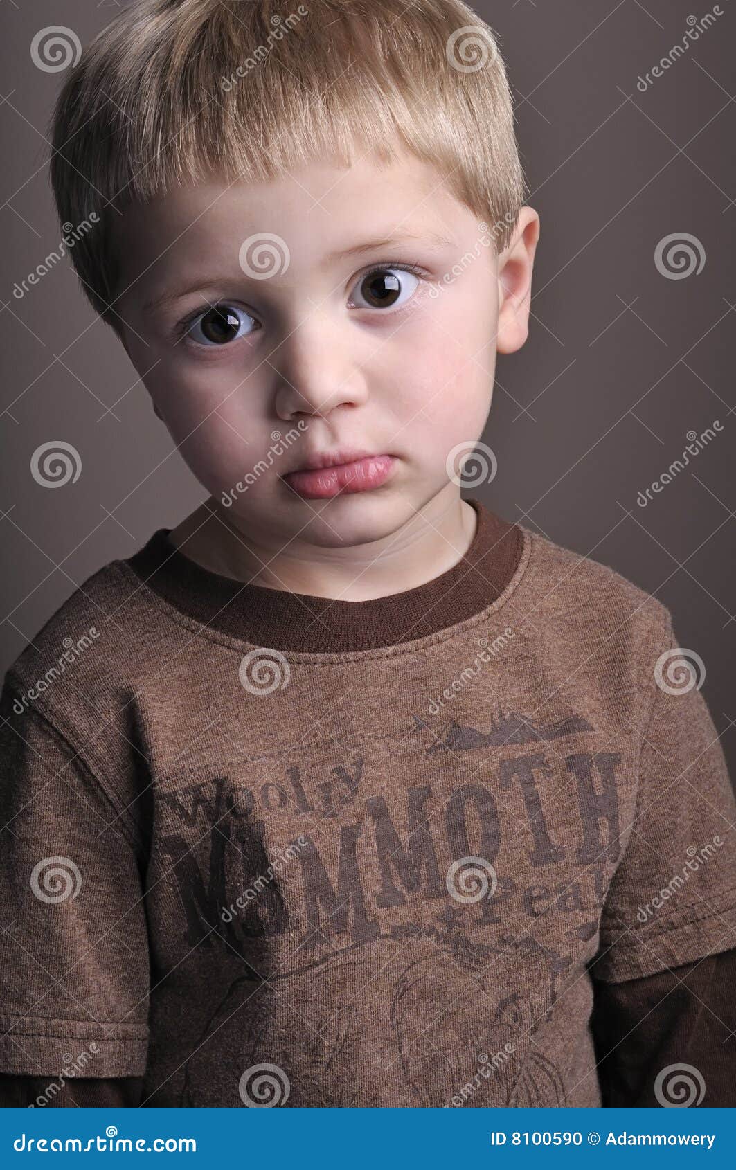 Portraits of little boy stock photo. Image of look, offspring - 8100590