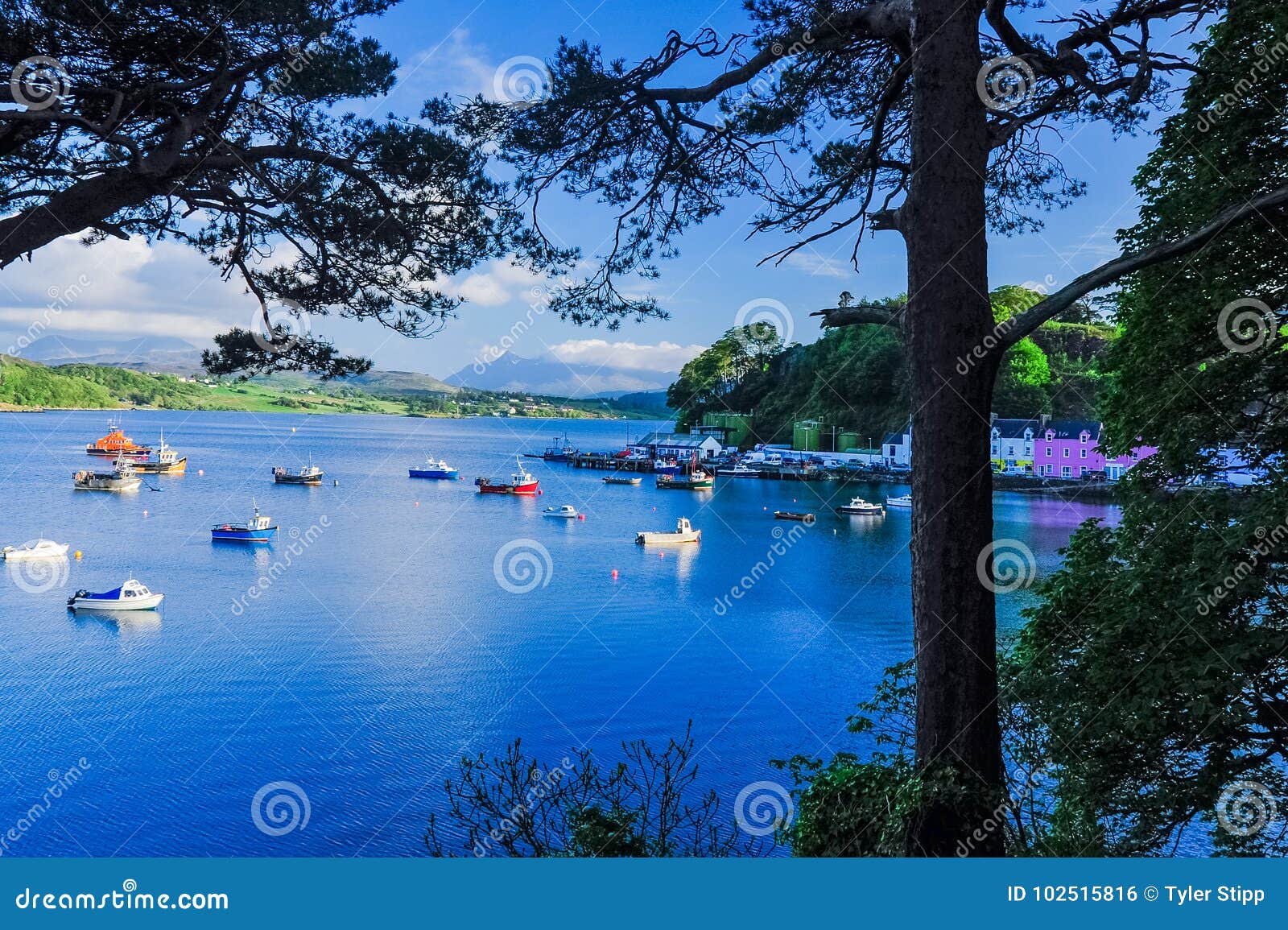 Portree Harbour stock photo. Image of house, coast, environmental ...