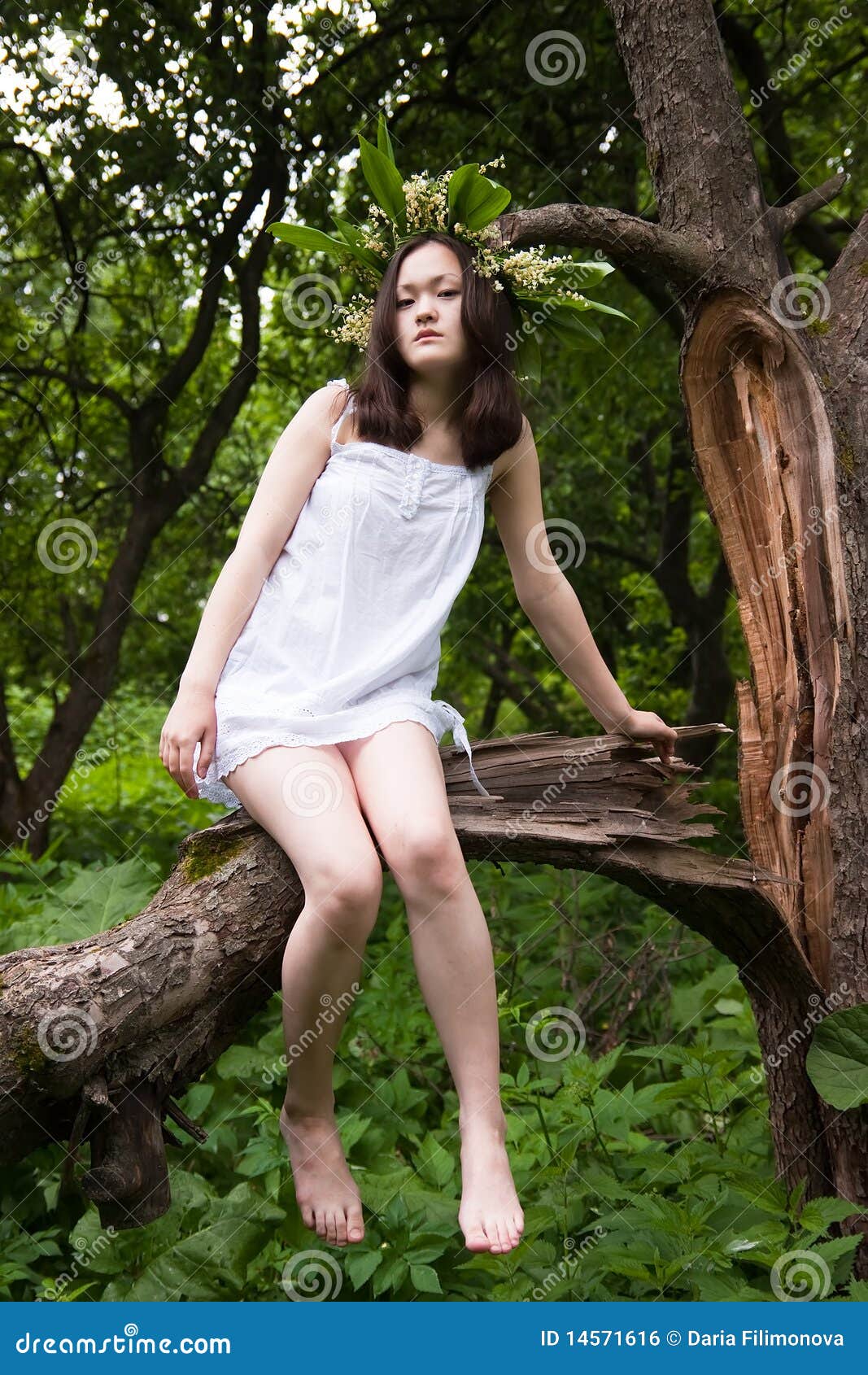 Portret van bosnimf stock foto. Image of gezicht, naughty - 14571616