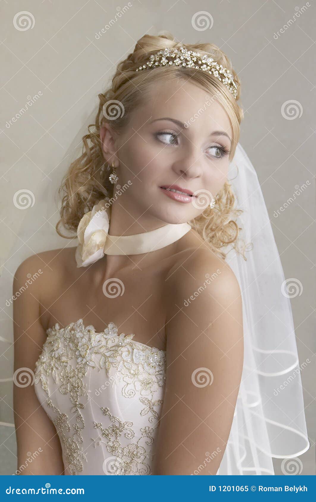 Portret van de bruid. stock afbeelding. Image of overeenkomst - 1201065
