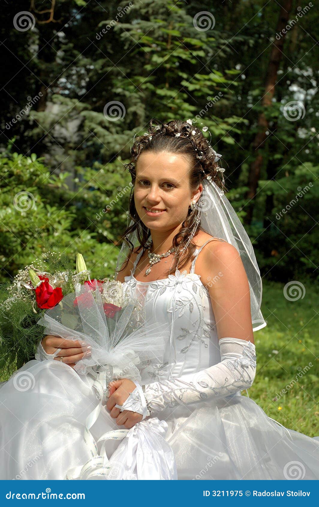 Portret van de bruid stock afbeelding. Image of mooi, onschuld - 3211975