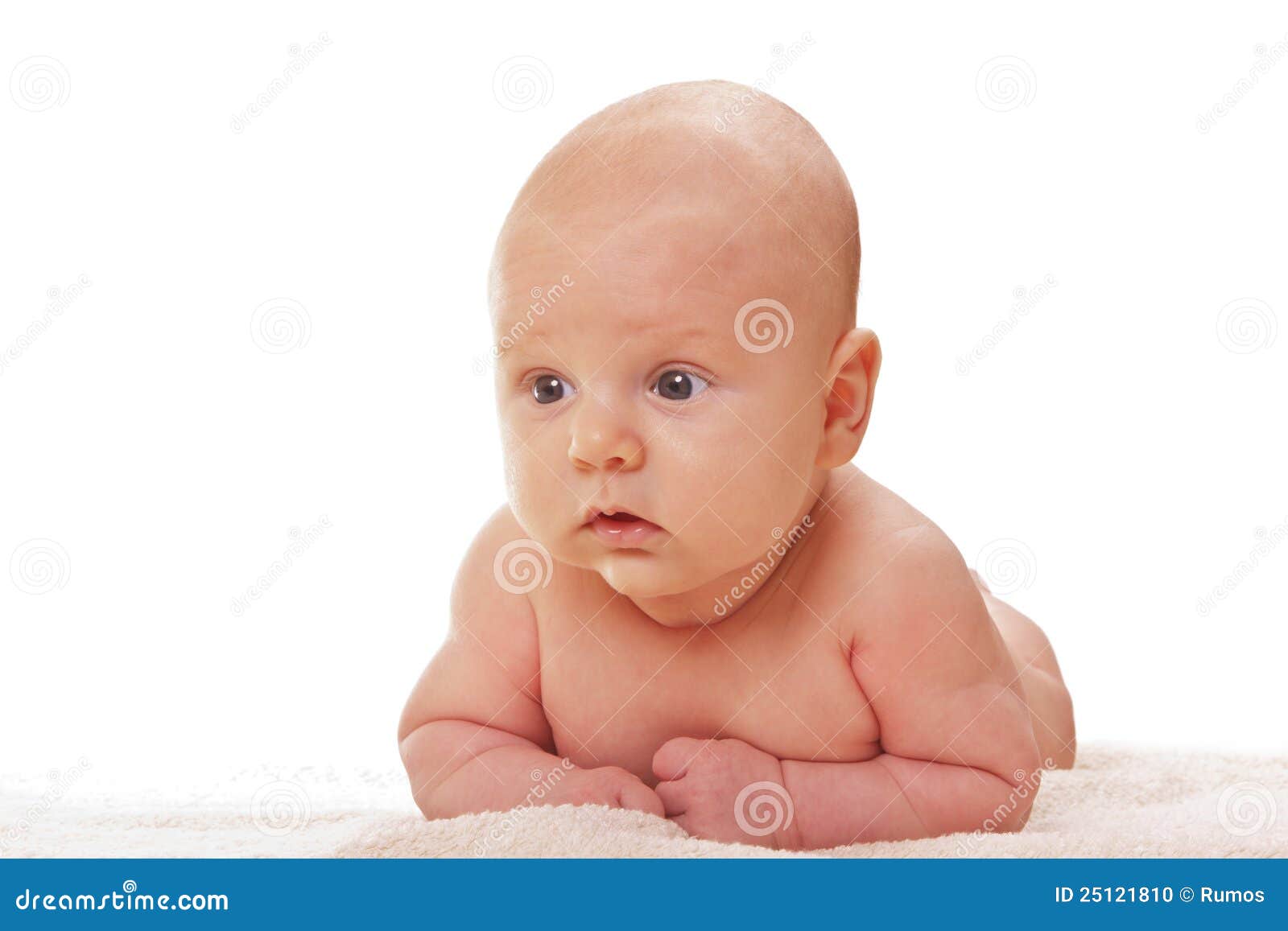 Portret van de knappe baby stock foto. Image of één, baby - 25121810