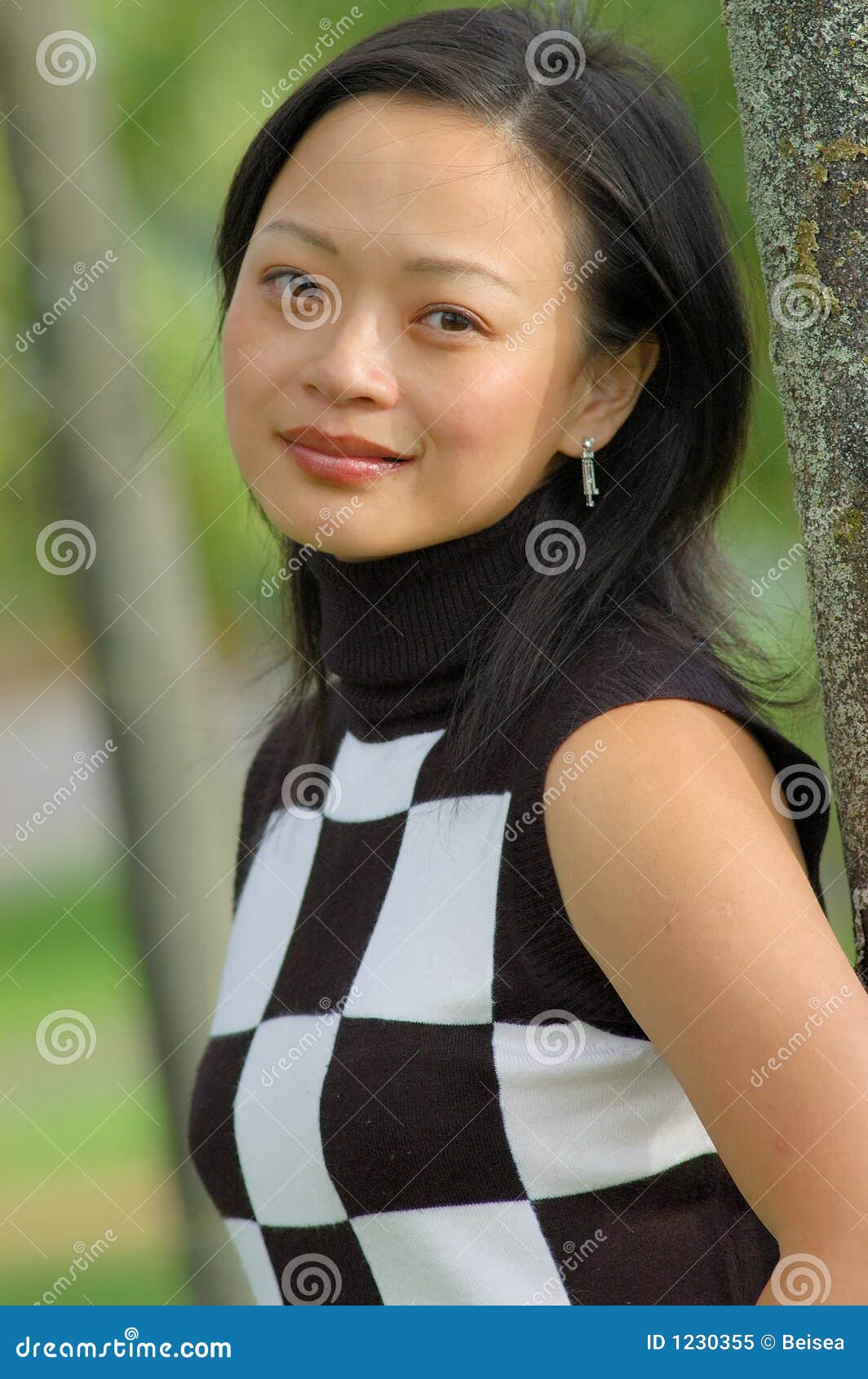 Portret Van Een Chinese Vrouw Stock Afbeelding - Image of vrouw, jong ...